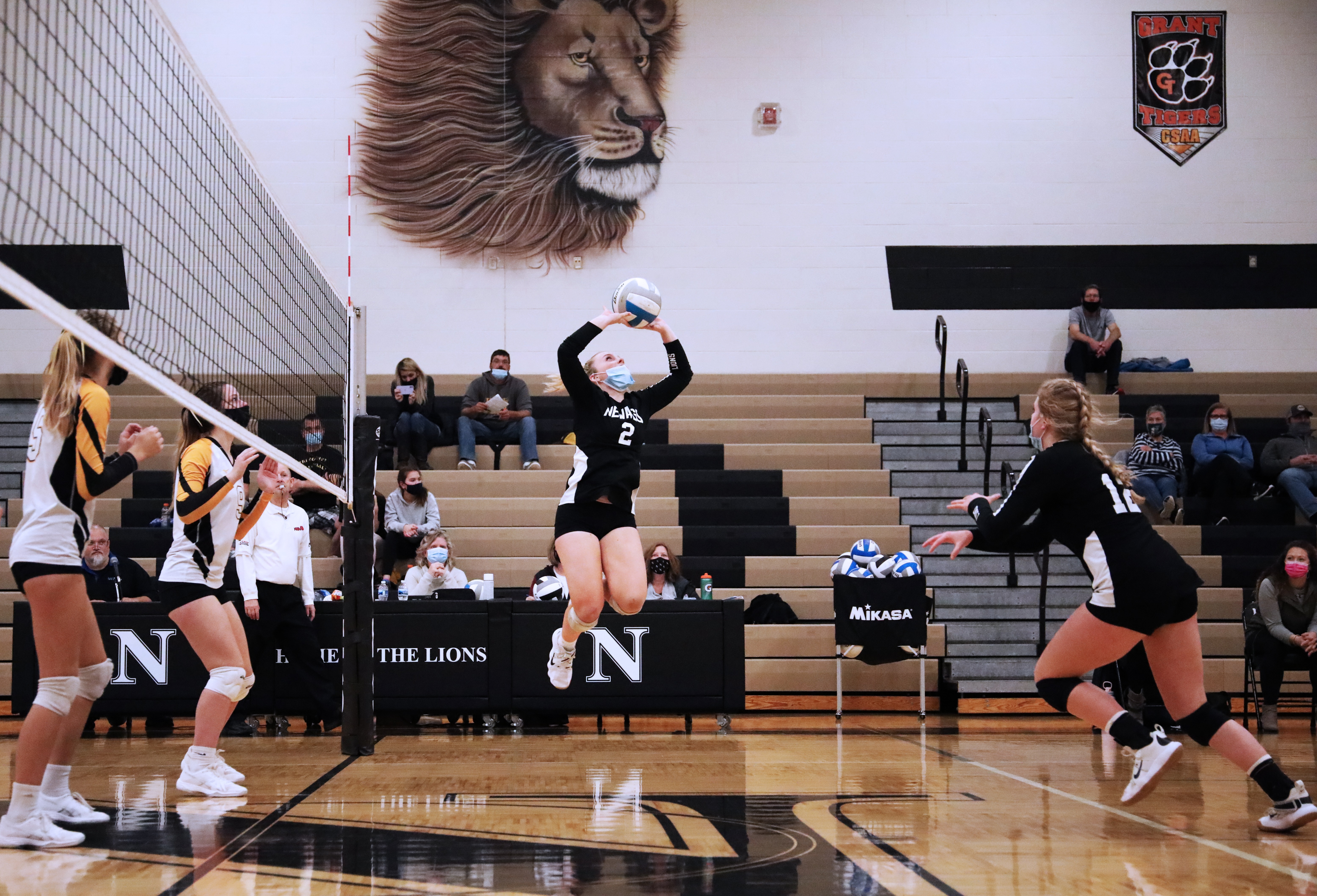 Newaygo volleyball team wins share of 2020 CSAA Gold Division title ...