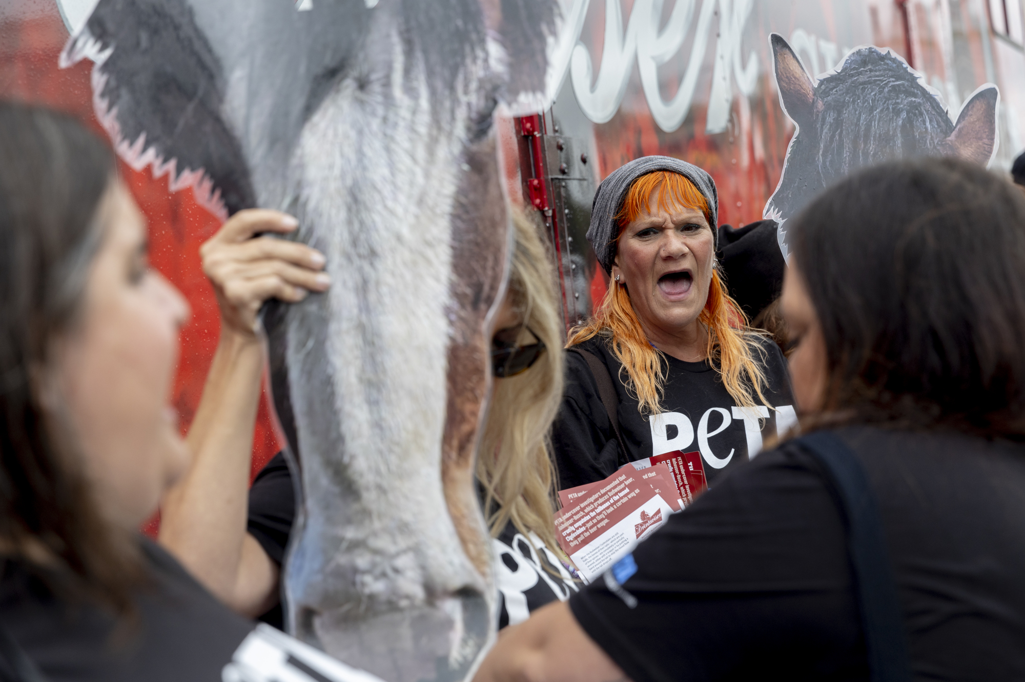 PETA protests Budweiser in Michigan for animal abuse, mutilation of ...
