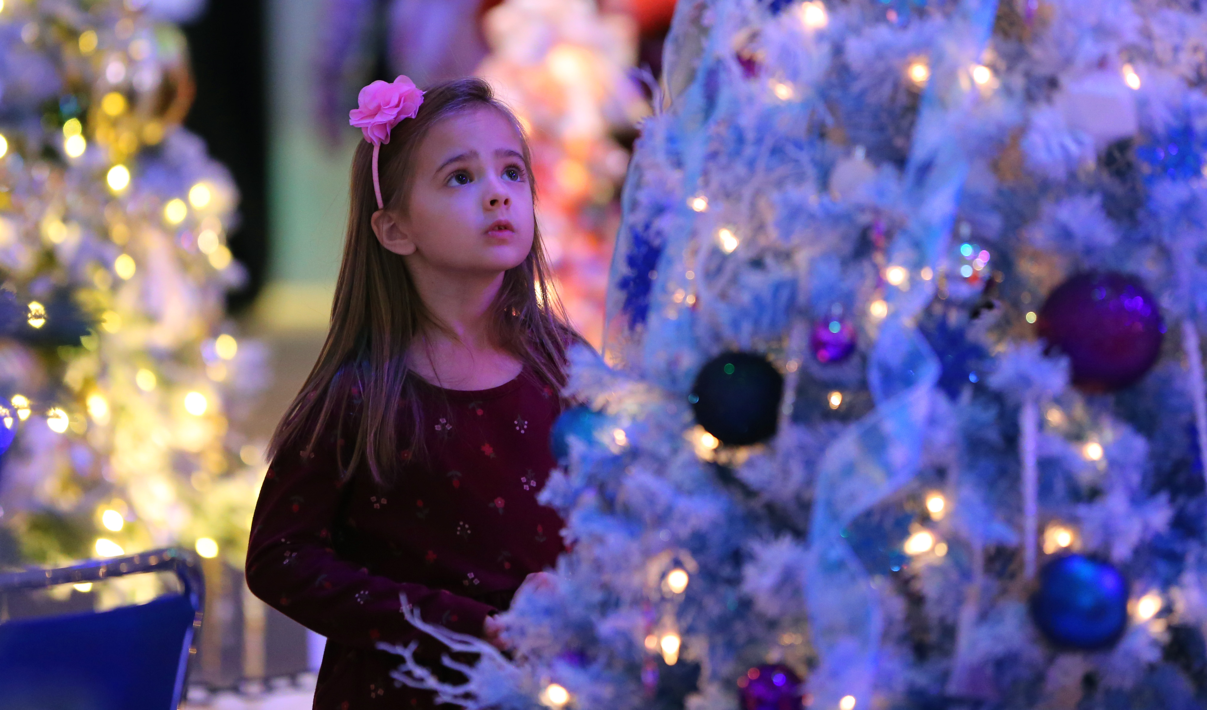 Akron Children’s Hospital 43rd annual HolidayTree Festival, November 17, 2024 - cleveland.com