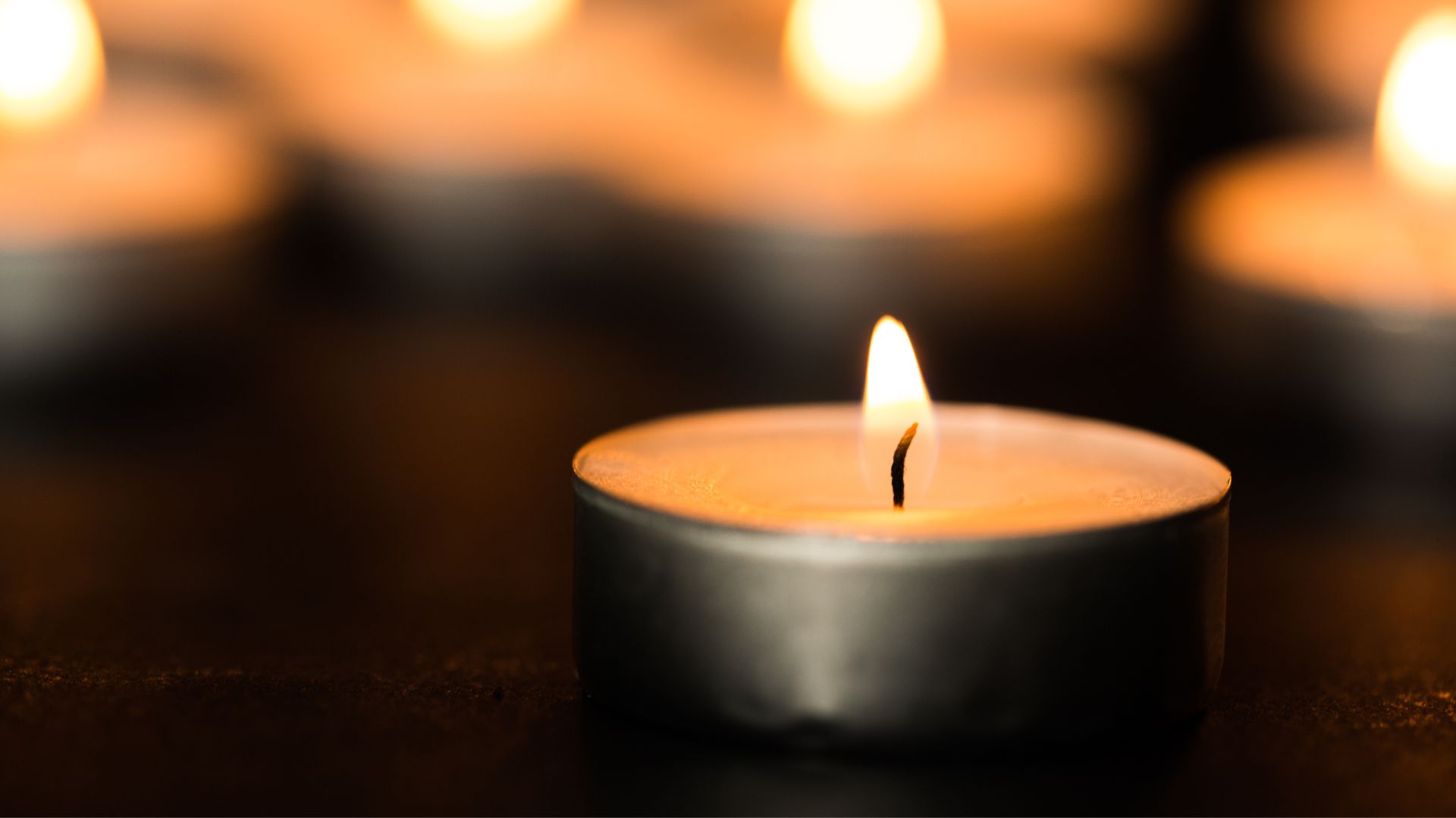 obituaries - masslive.com