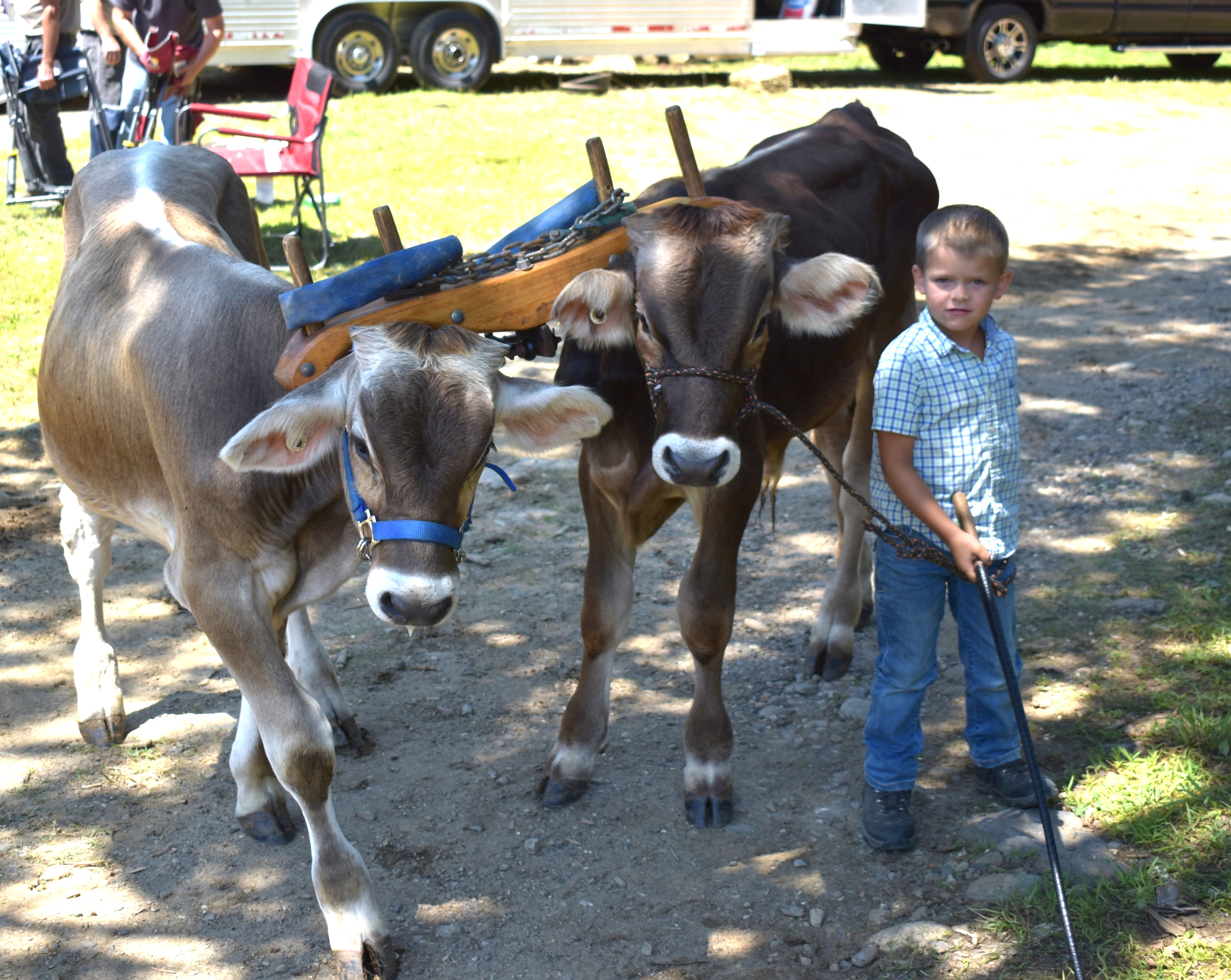 Littleville Fair 2025 - masslive.com