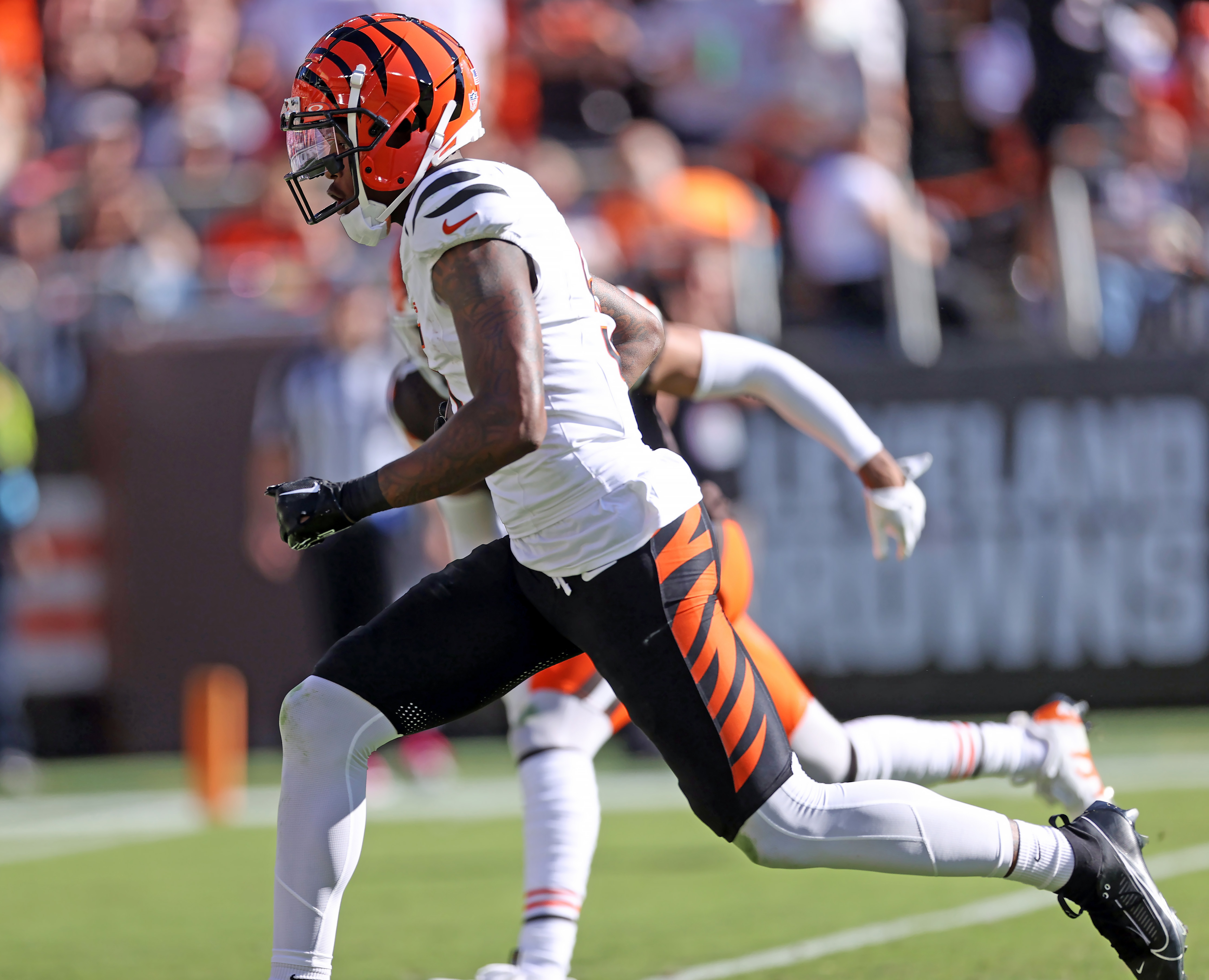 Cleveland Browns vs. Cincinnati Bengals, October 20, 2024 - cleveland.com
