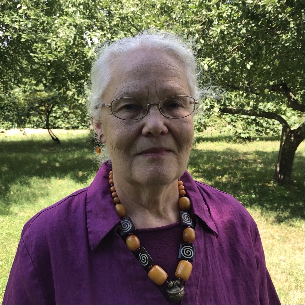 Society for History and Racial Equity is working to highlight Black ...