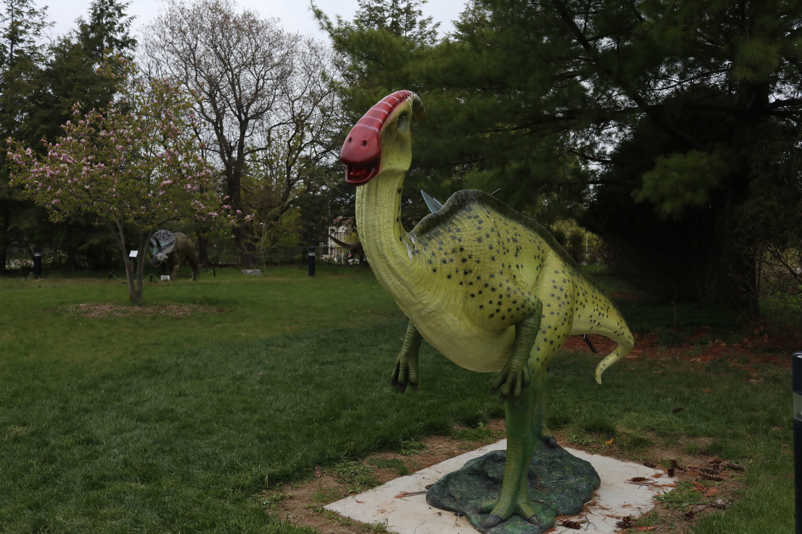 'Dino Park' in Kalamazoo - mlive.com