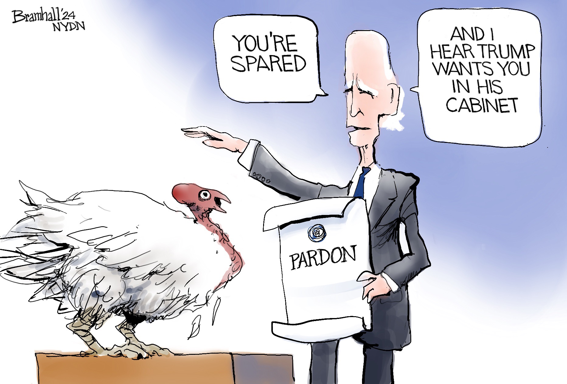 Editorial cartoons for Dec. 1, 2024 - syracuse.com