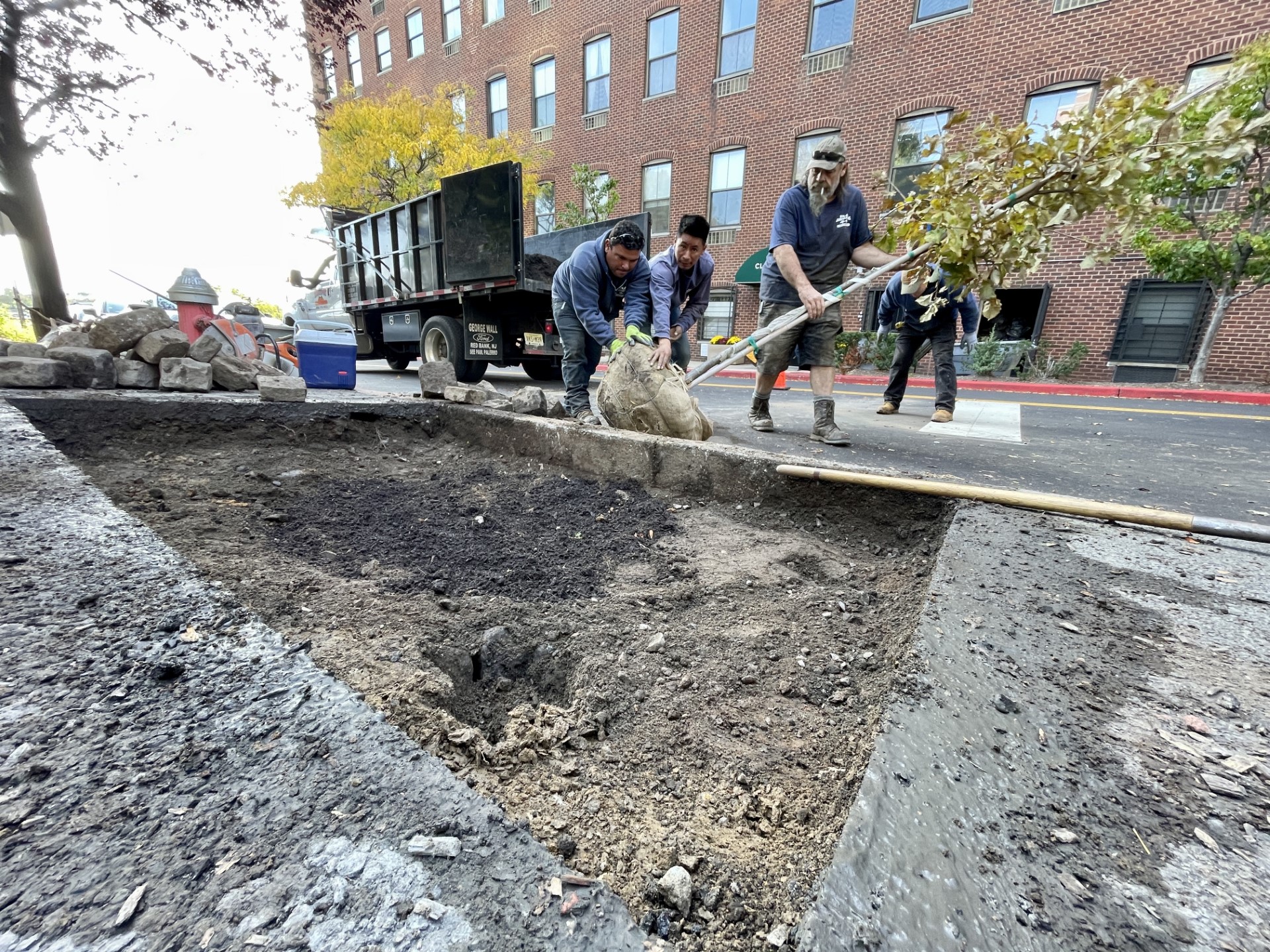 Jersey City’s largest tree planting brings new life to Exchange Place ...