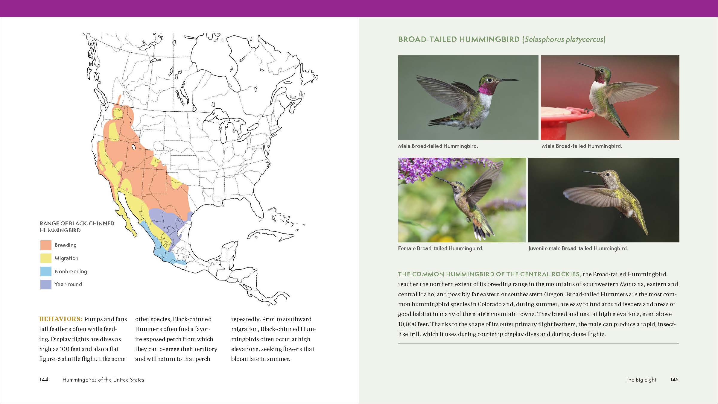 "Hummingbird Handbook" - oregonlive.com
