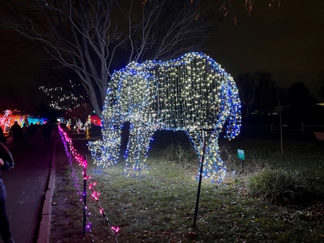 Wild Lights at the Detroit Zoo 2021 - mlive.com