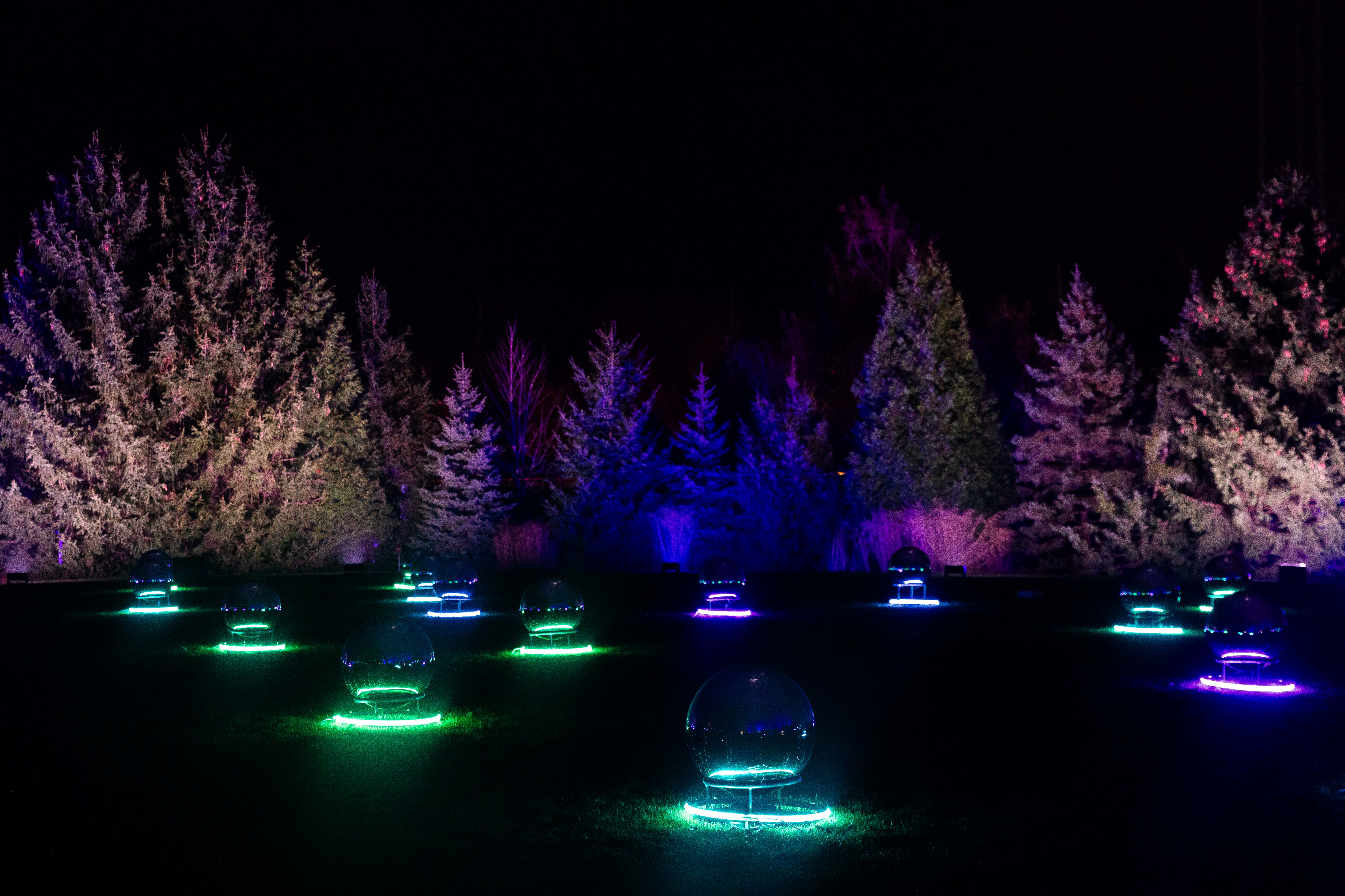 Interactive light display "ENLIGHTEN" introduced at Meijer Gardens ...