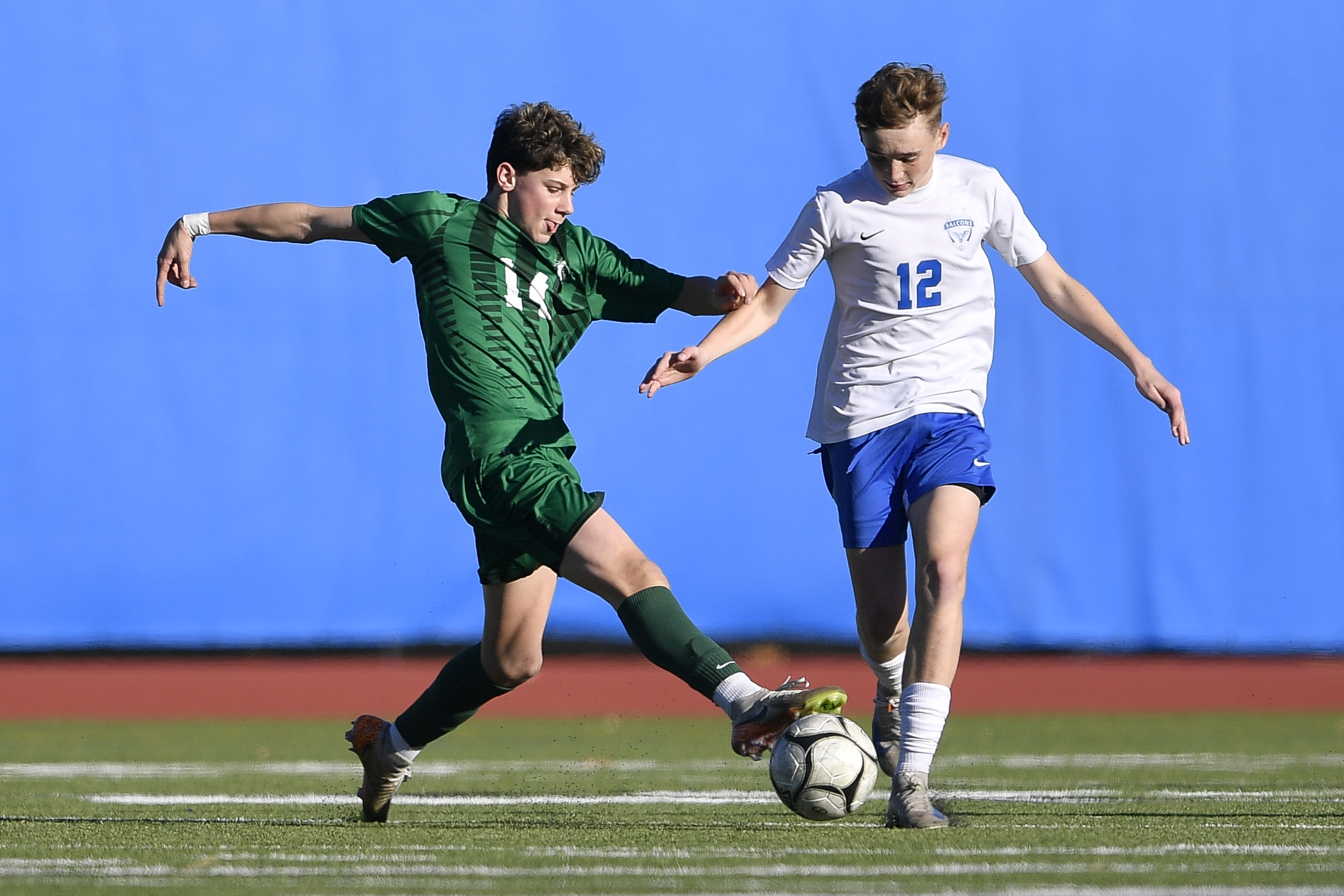Hamilton boys soccer state champions - syracuse.com
