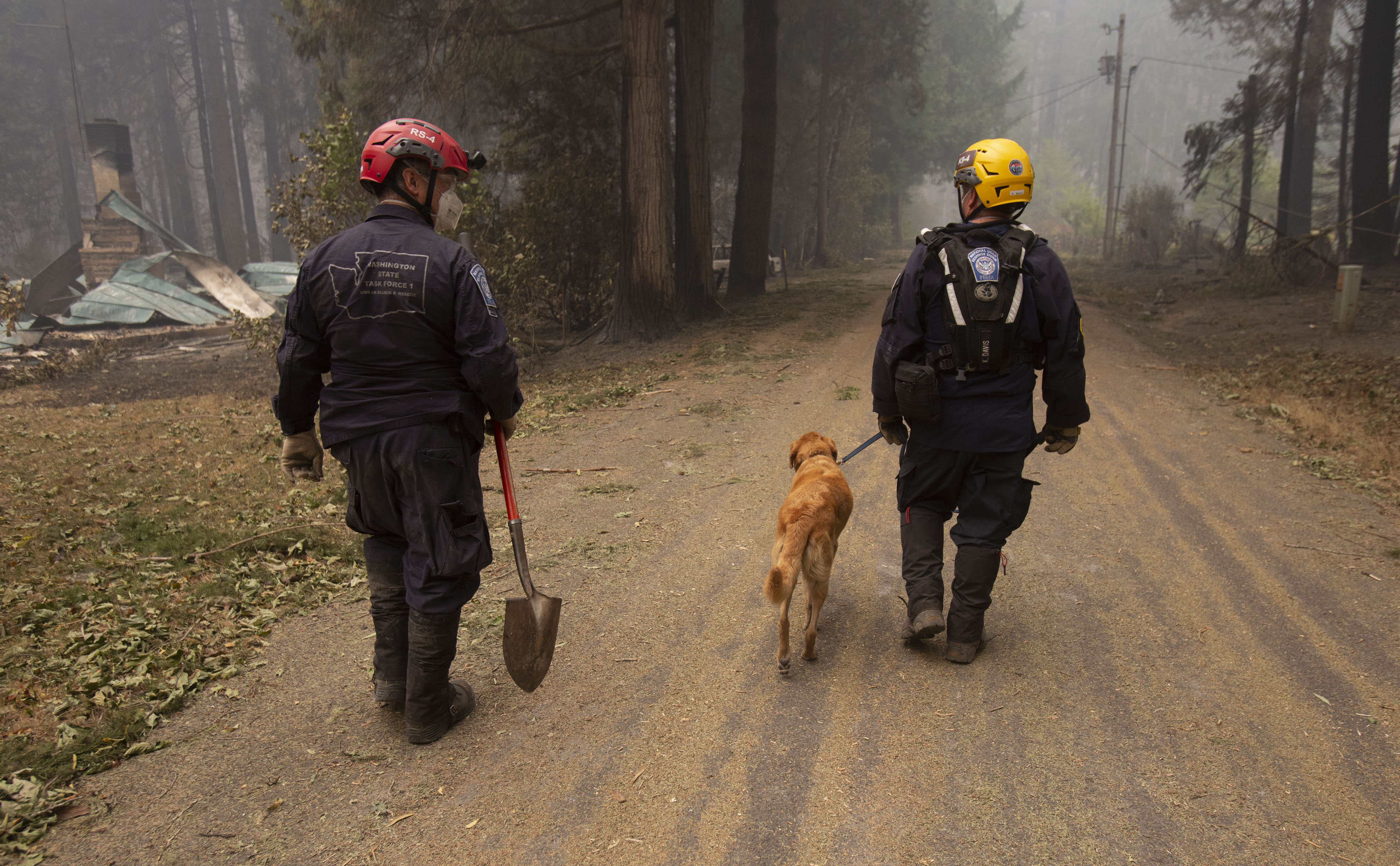Holiday Farm wildfire damage - oregonlive.com