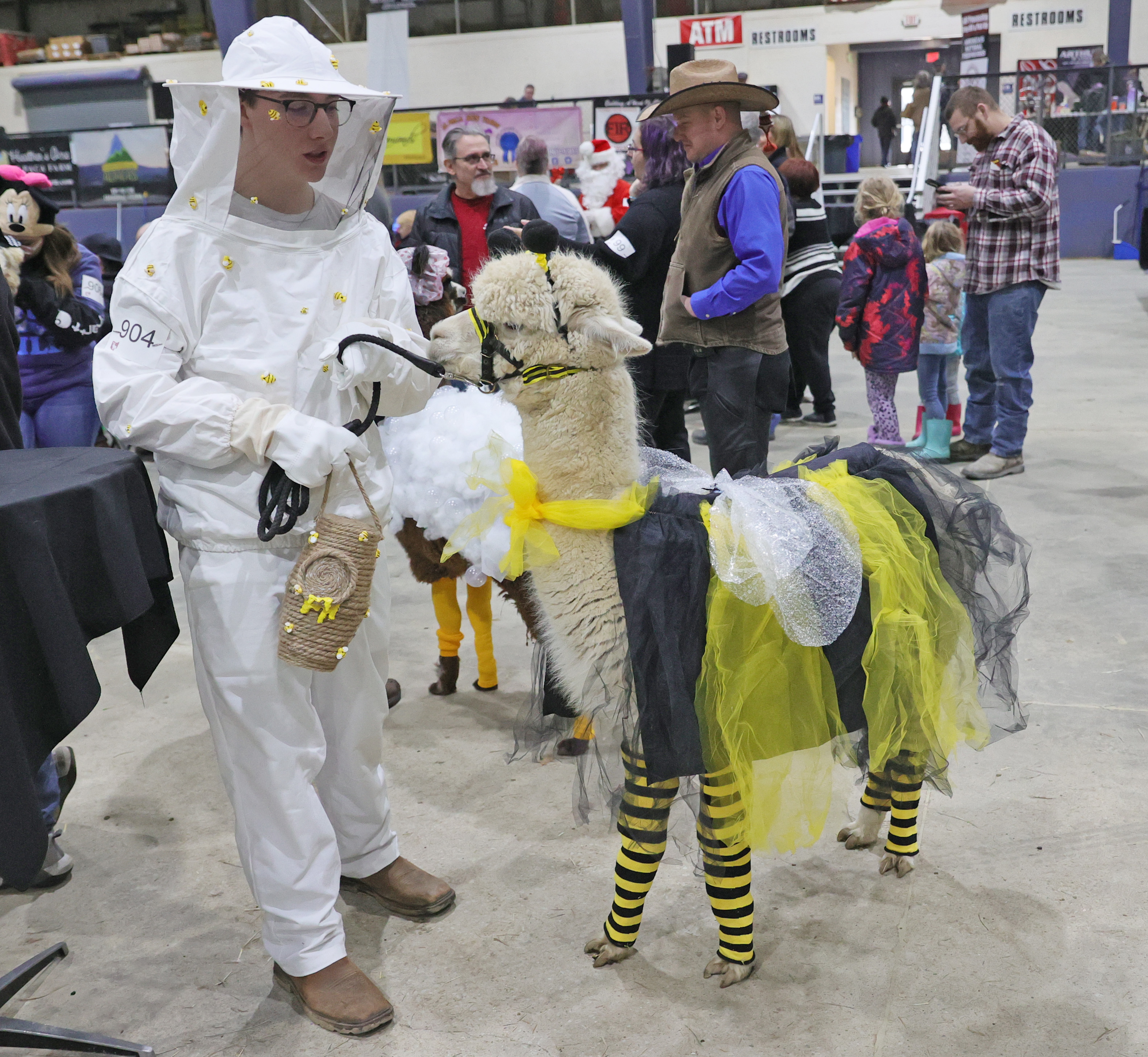 The Buckeye Alpaca Show at Summit County Fairgrounds, March 23, 2024 ...