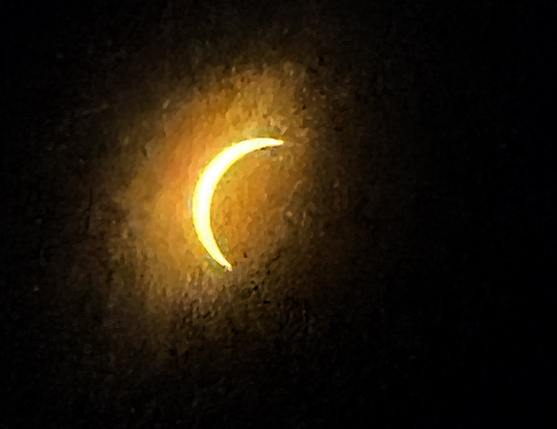 Springfield watches the eclipse - masslive.com