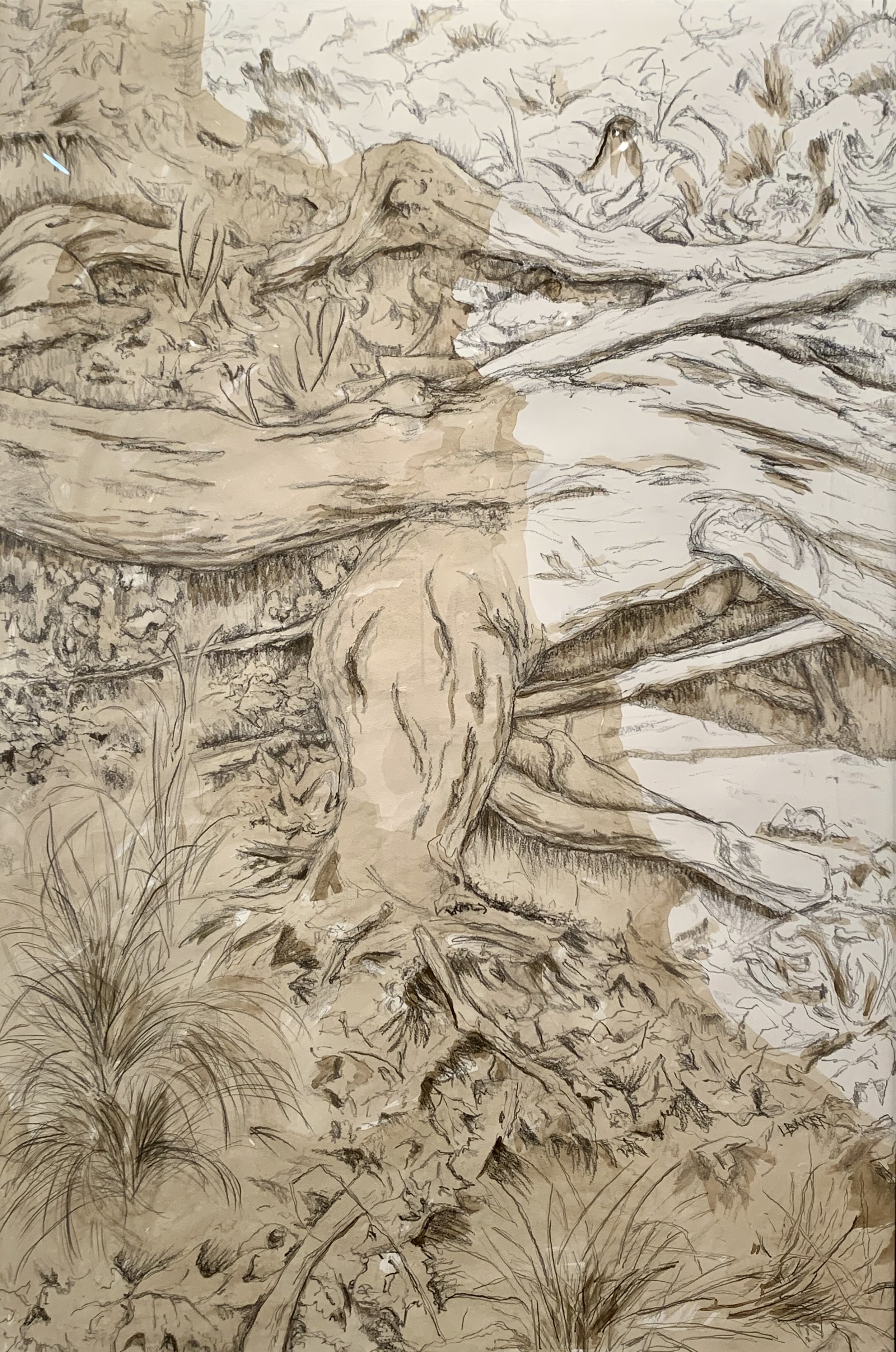 Lawrence Baker dominates three-person landscape show with Brinsley ...