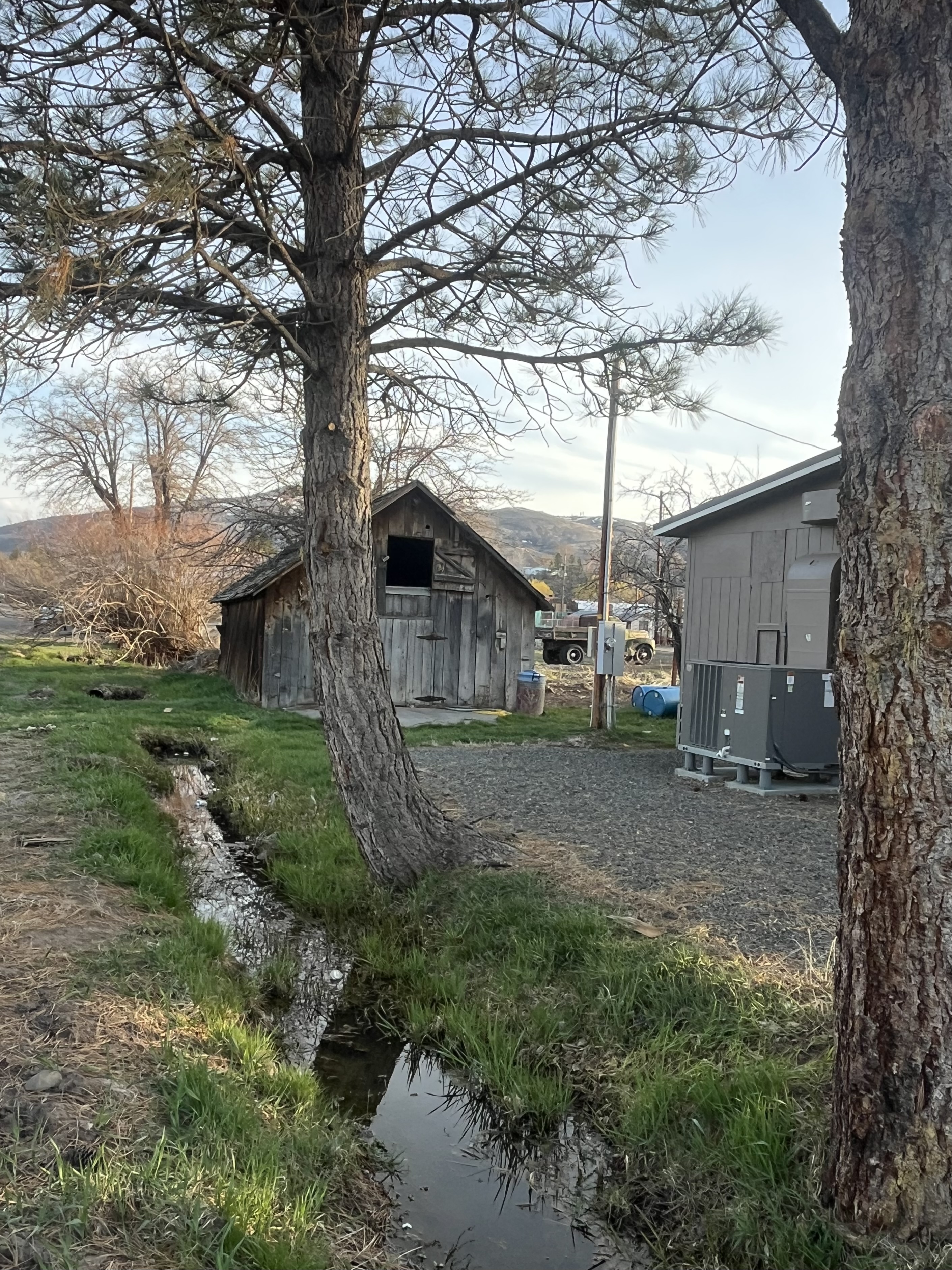 What's in Paisley? - oregonlive.com