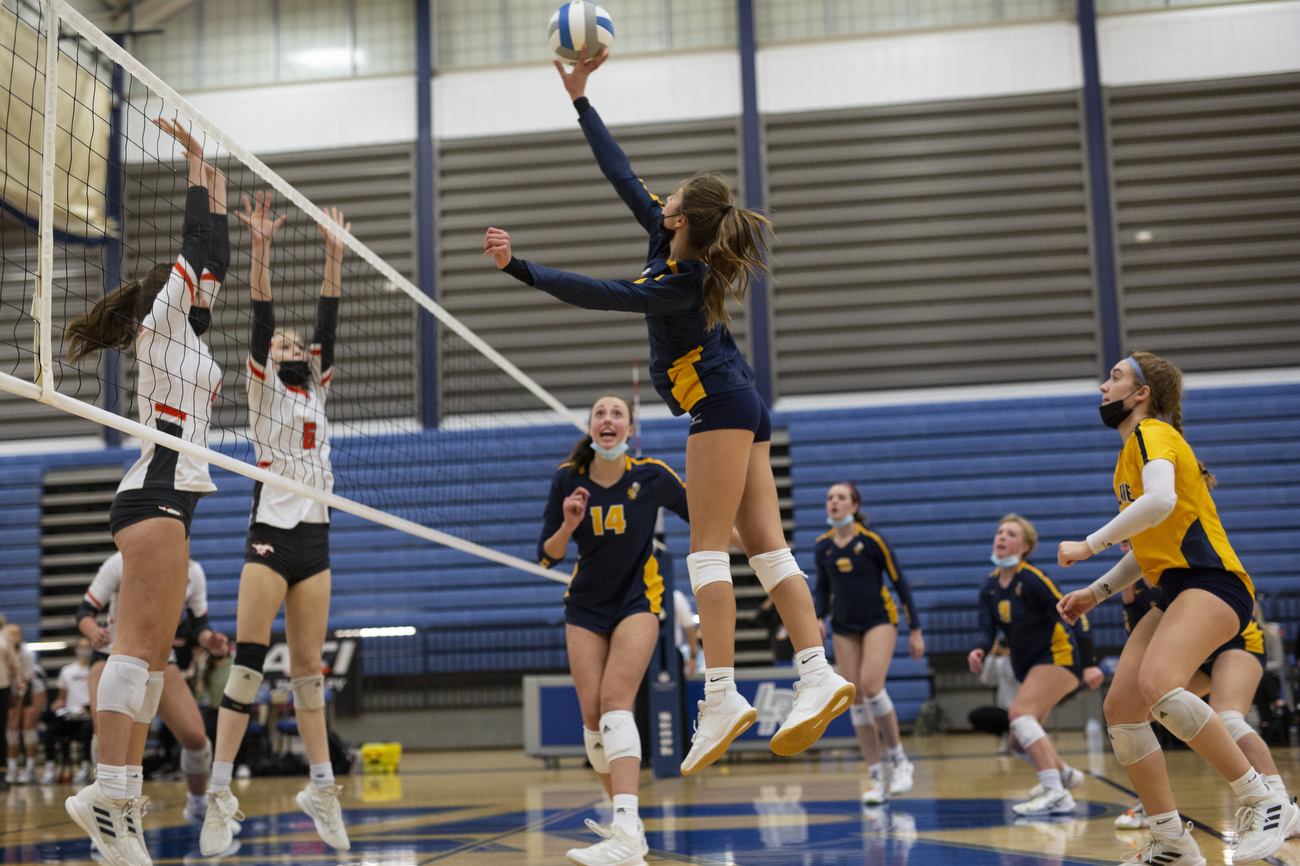 Saline and Northville play in D1 volleyball regional final at Lincoln ...