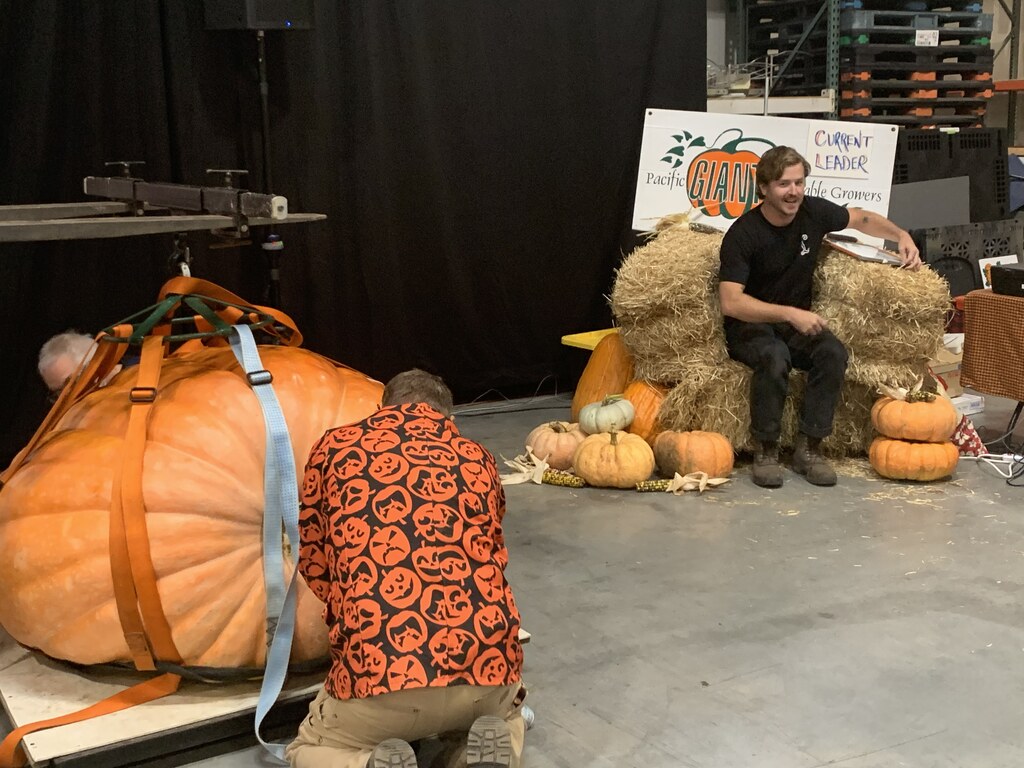 Giant pumpkins - oregonlive.com
