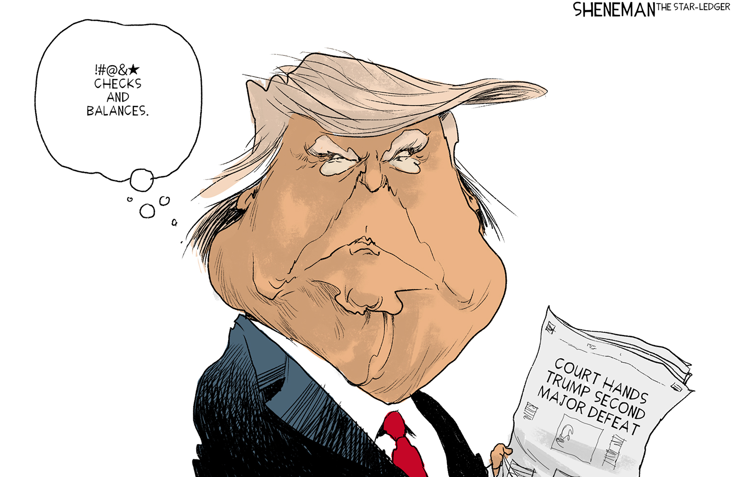 Checks And Balances Cartoon