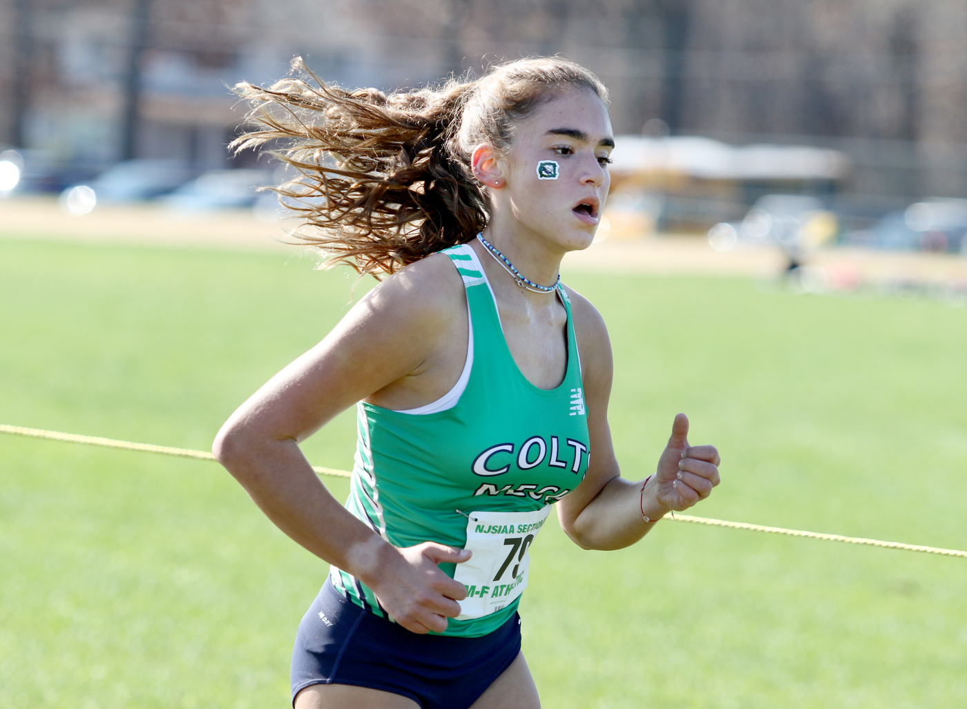 High school girls cross country, Group 2 and 3, NJSIAA Central Jersey ...