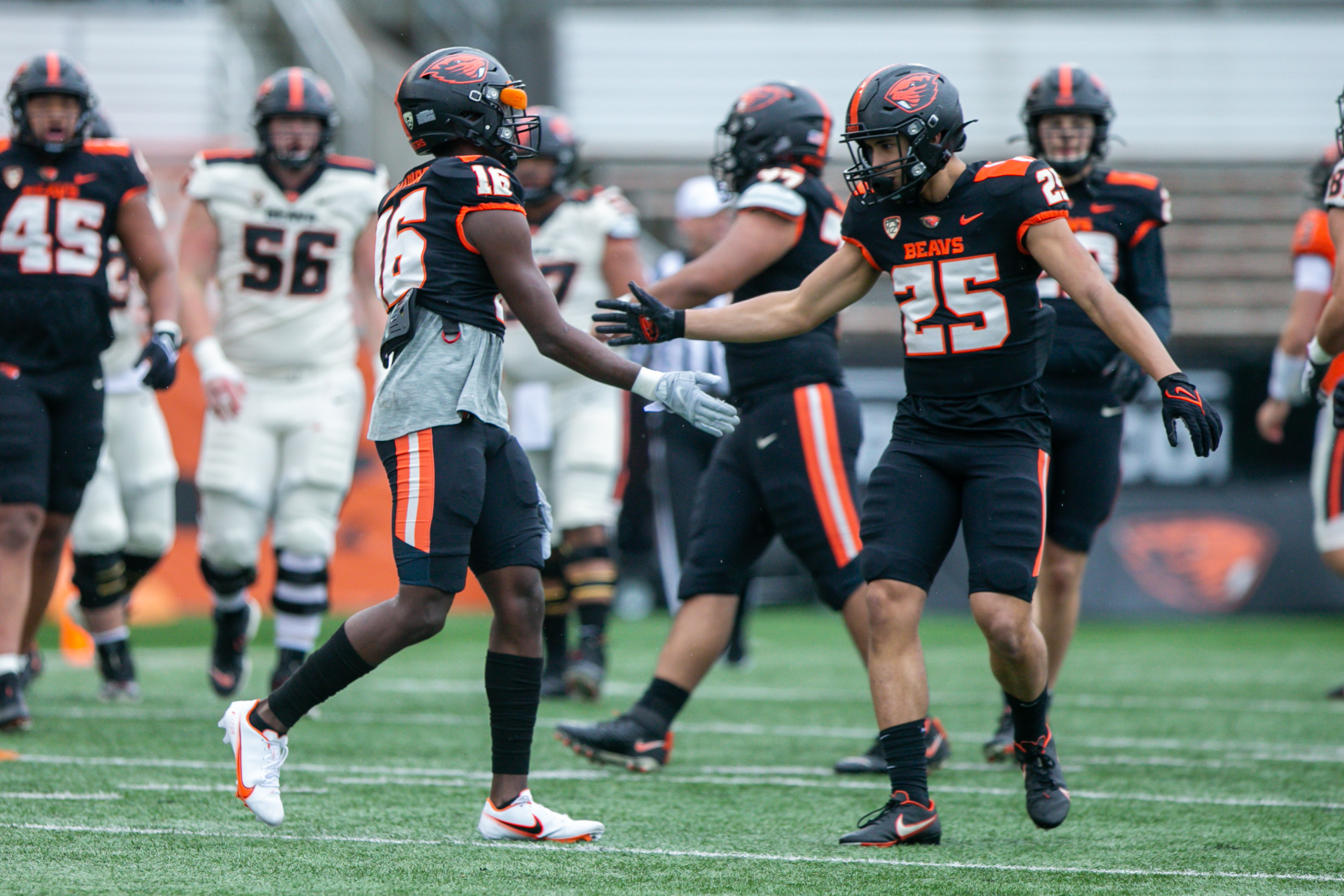Oregon State Beavers football spring game - oregonlive.com
