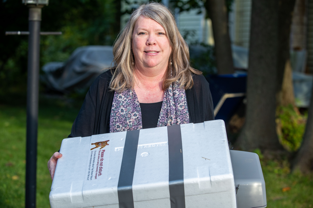 Volunteers helping feral cats in Mechanicsburg - pennlive.com