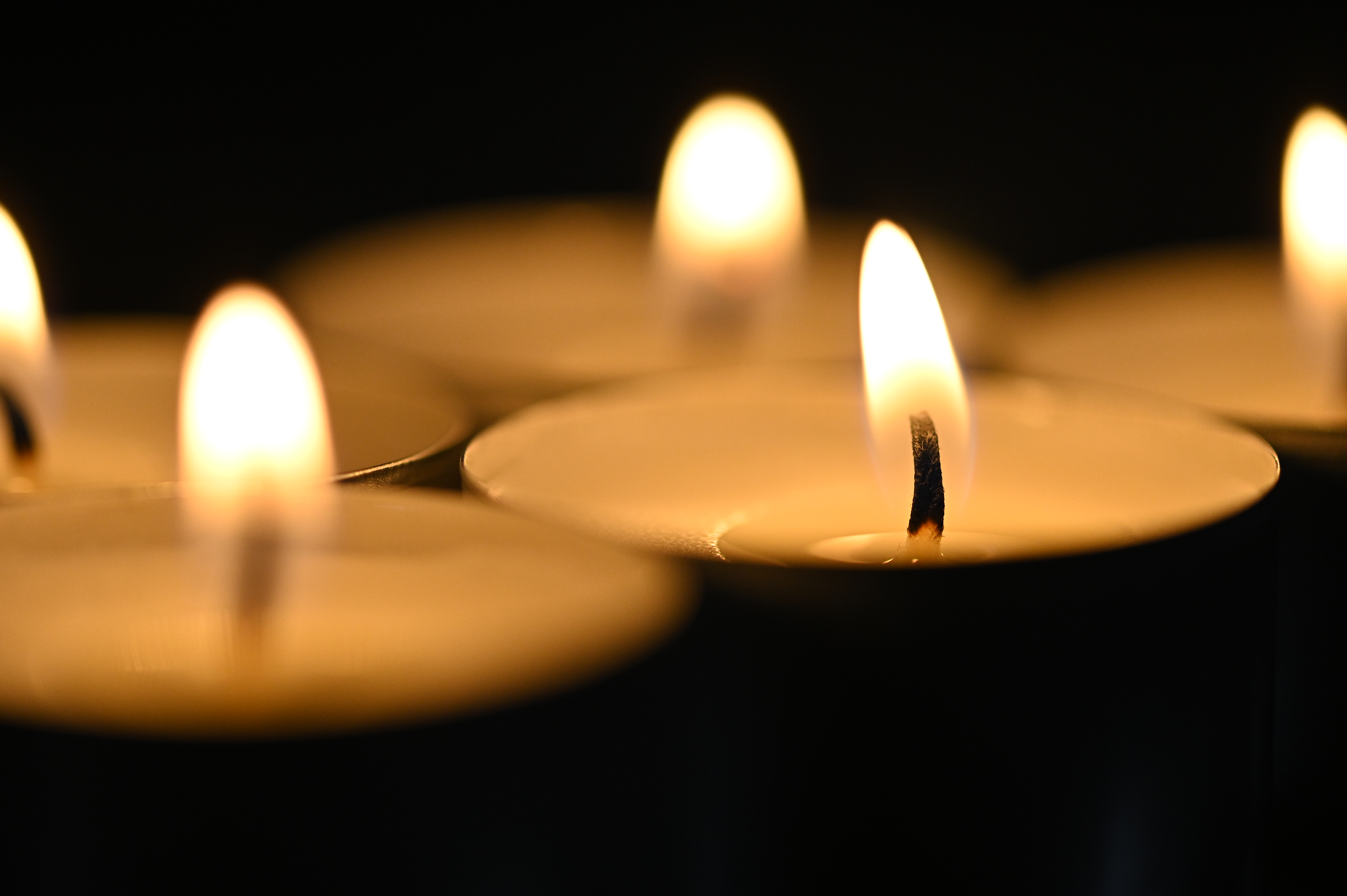 obituaries - masslive.com