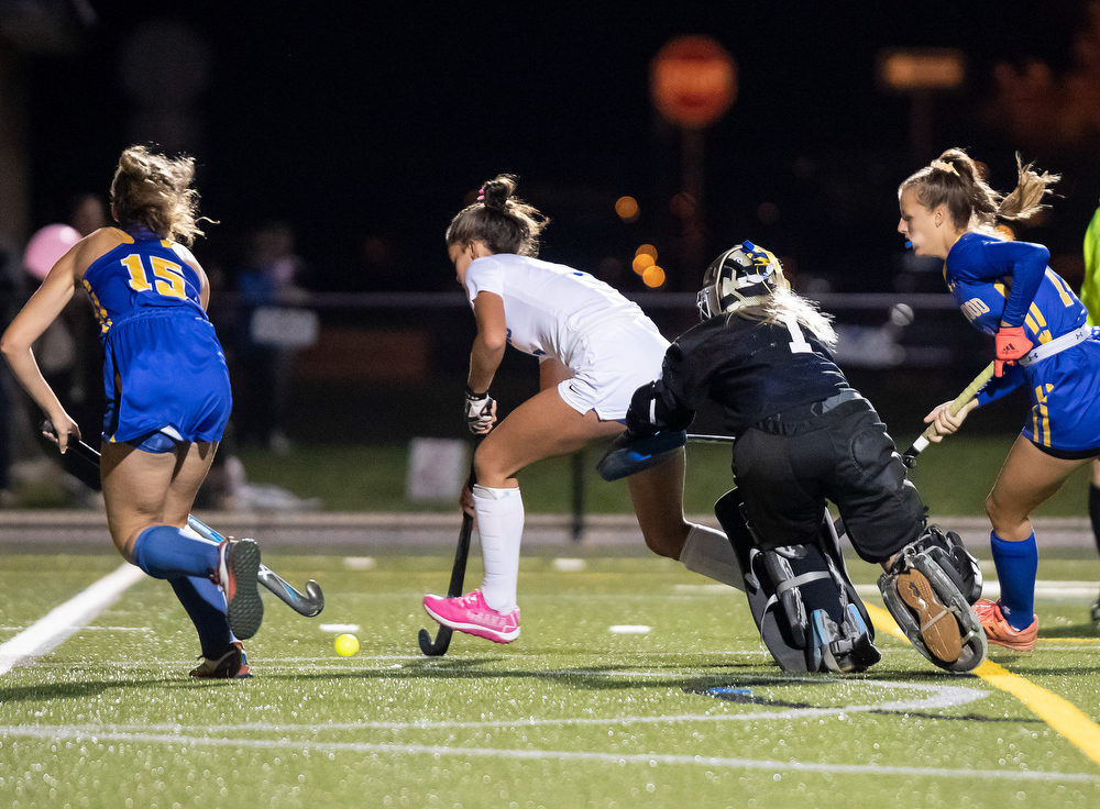Lower Dauphin defeats Greenwood 4-1 in high school field hockey ...