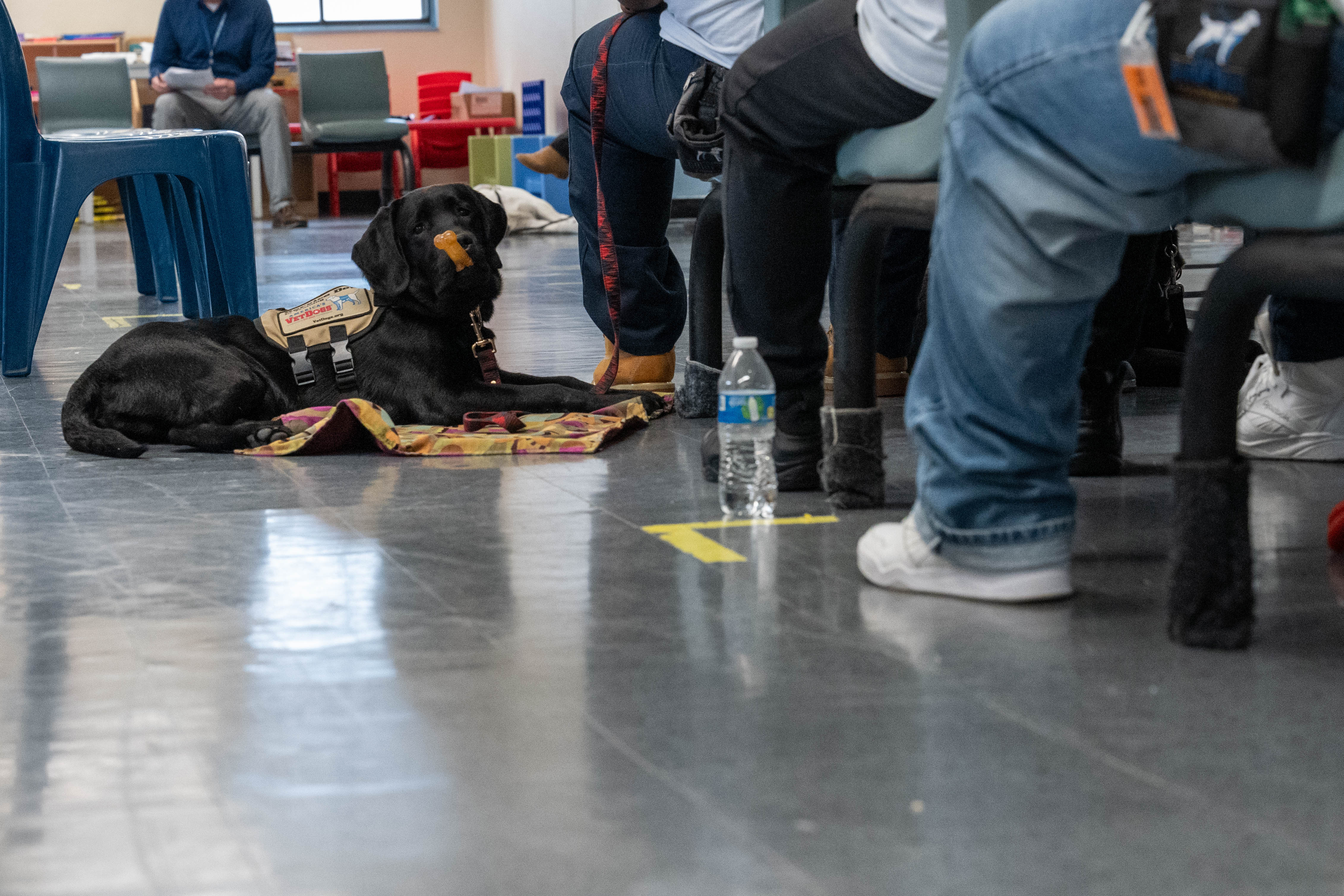 ‘I didn’t know how to love’: VetDogs provide more than trained service ...