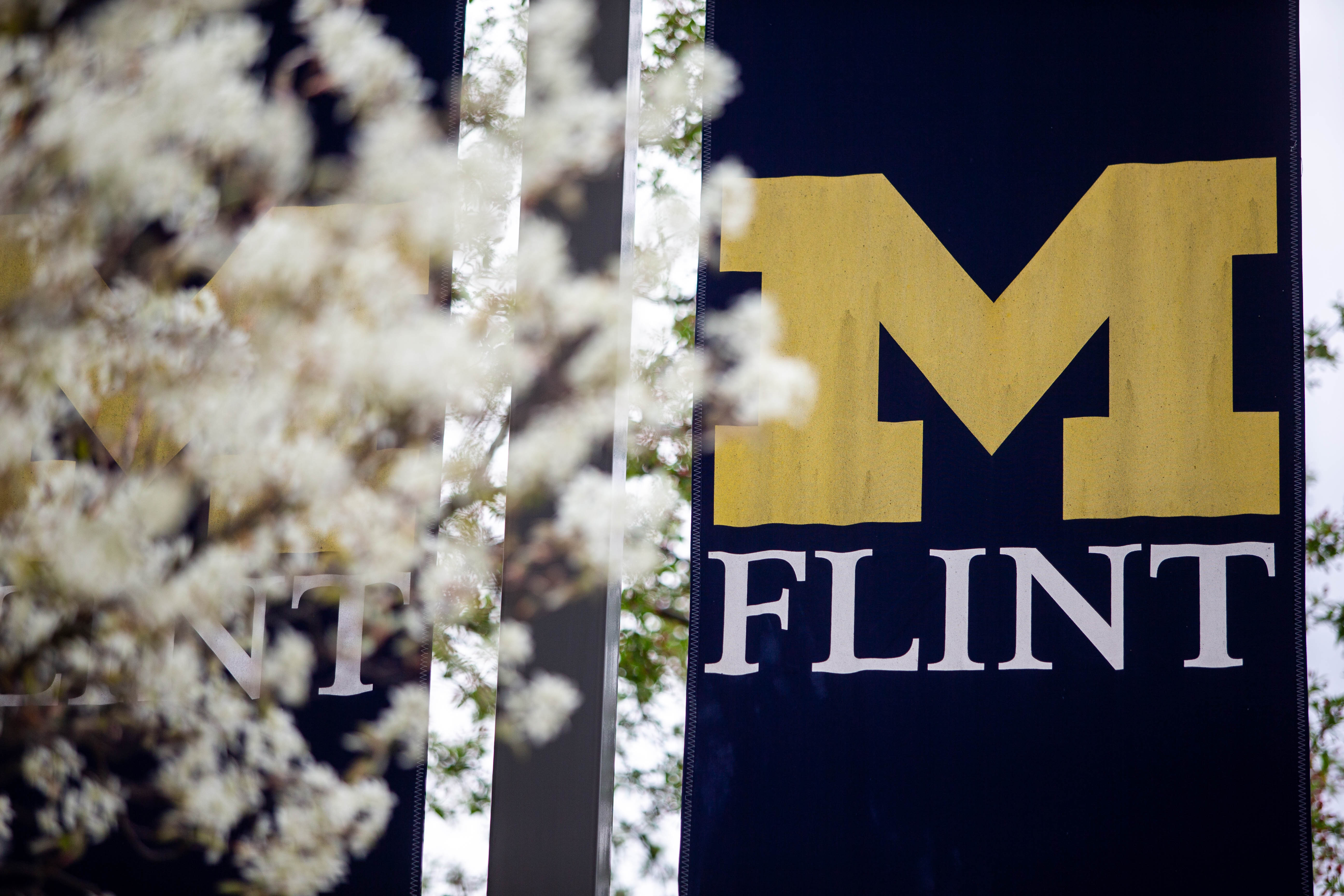 UofM Flint graduates reflect on graduating amid pandemic - mlive.com
