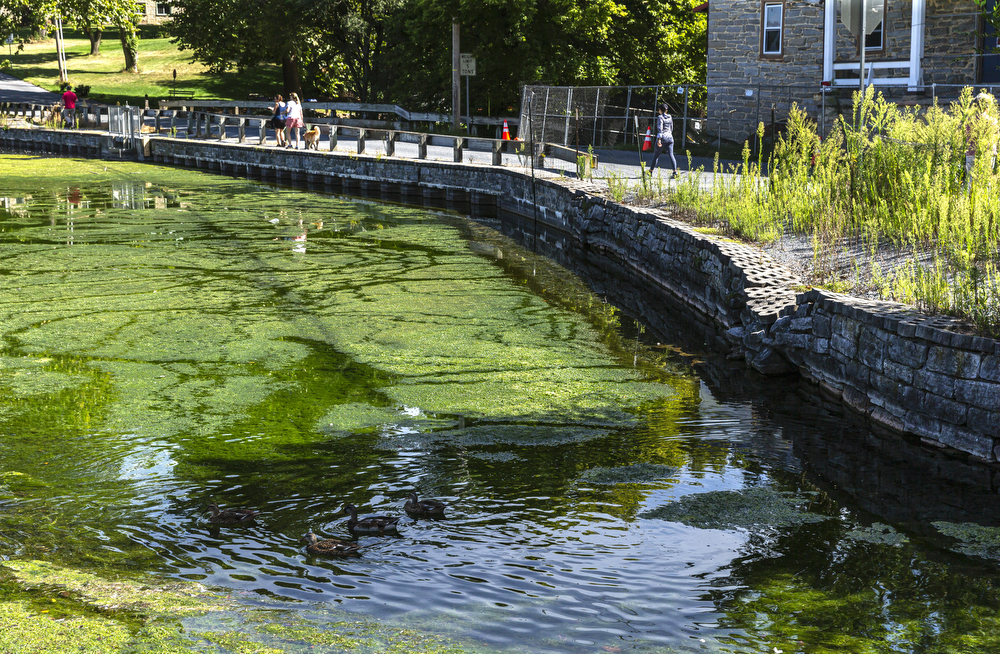 Boiling Springs Children’s Lake dam rebuilding groundbreaking ...