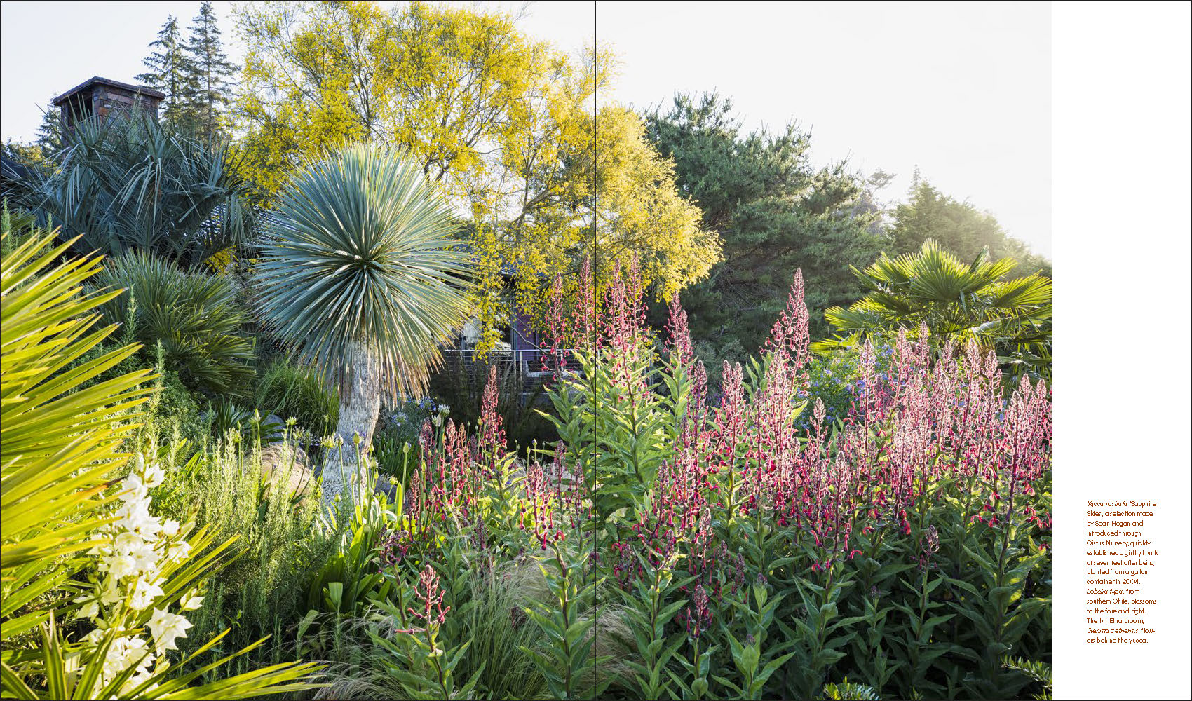 “Windcliff: A Story of People, Plants, and Gardens” - oregonlive.com