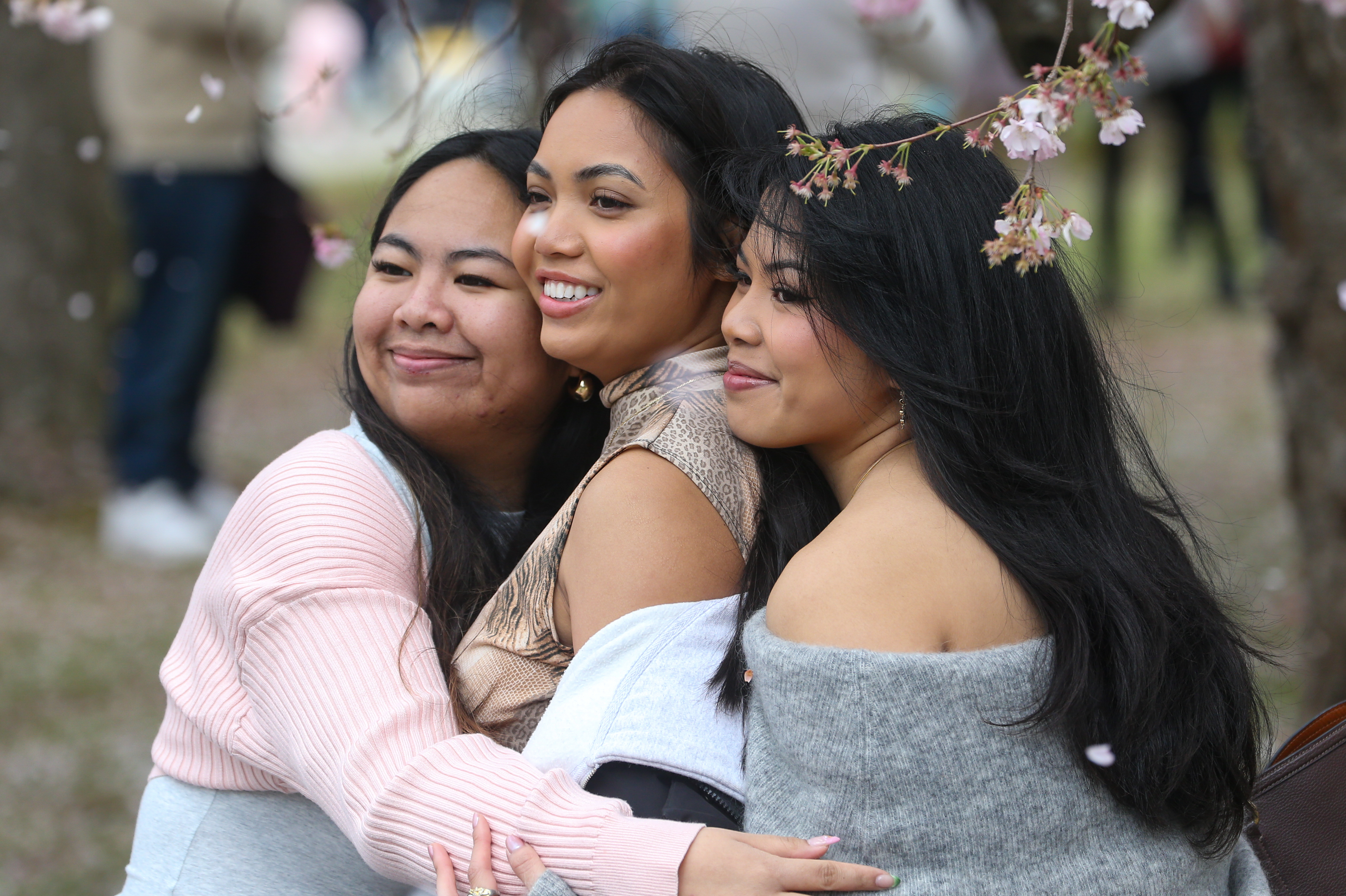 Newark's Cherry Blossom 2025 Bloomfest - nj.com