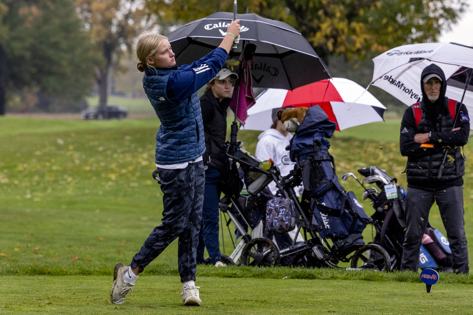 2023 MHSAA Division 2 Girls Golf State Finals - mlive.com