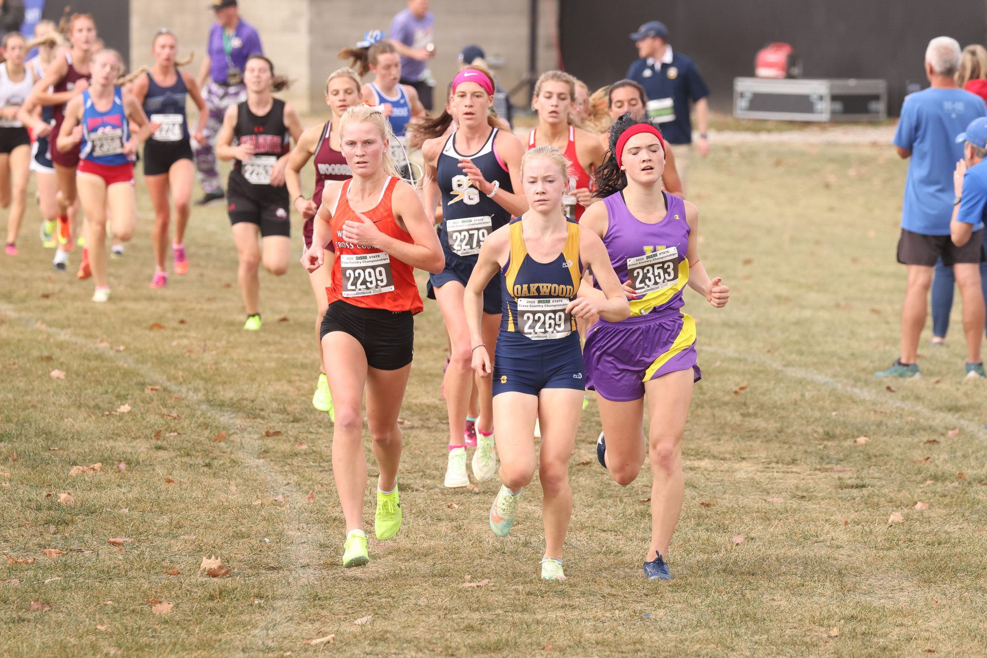 Division II Ohio High School Cross Country Championships 2022 ...