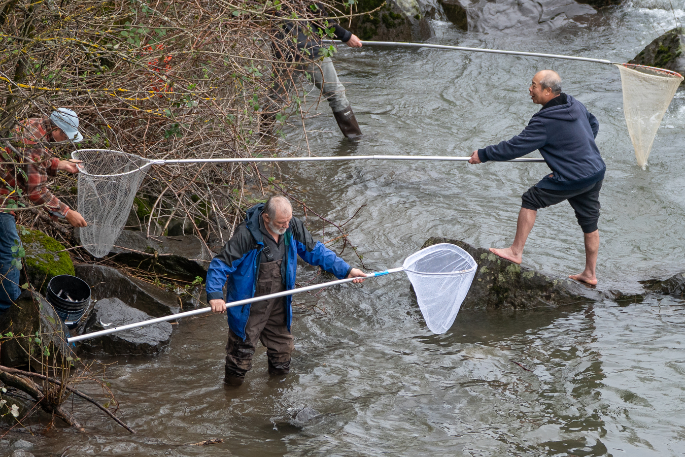 Sandy River smelt run 2025 - oregonlive.com