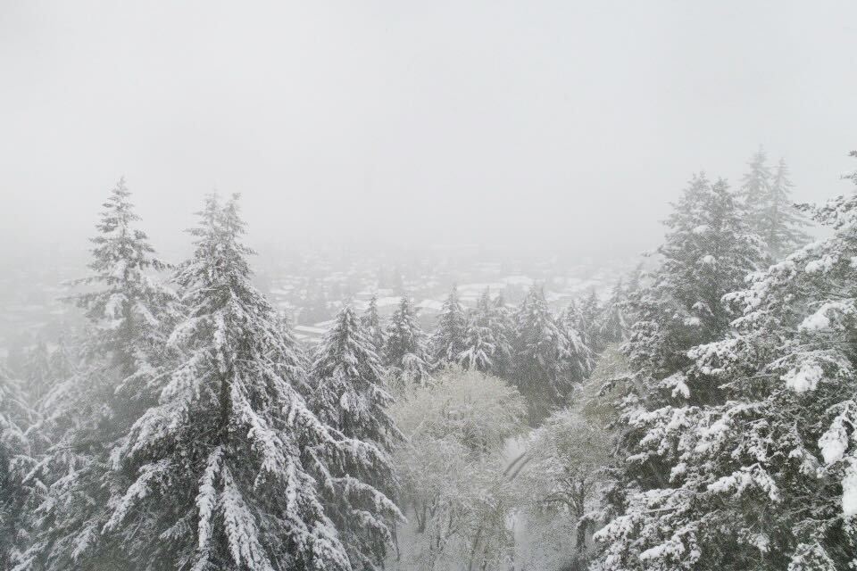 Portland snow April 11, 2022 - oregonlive.com