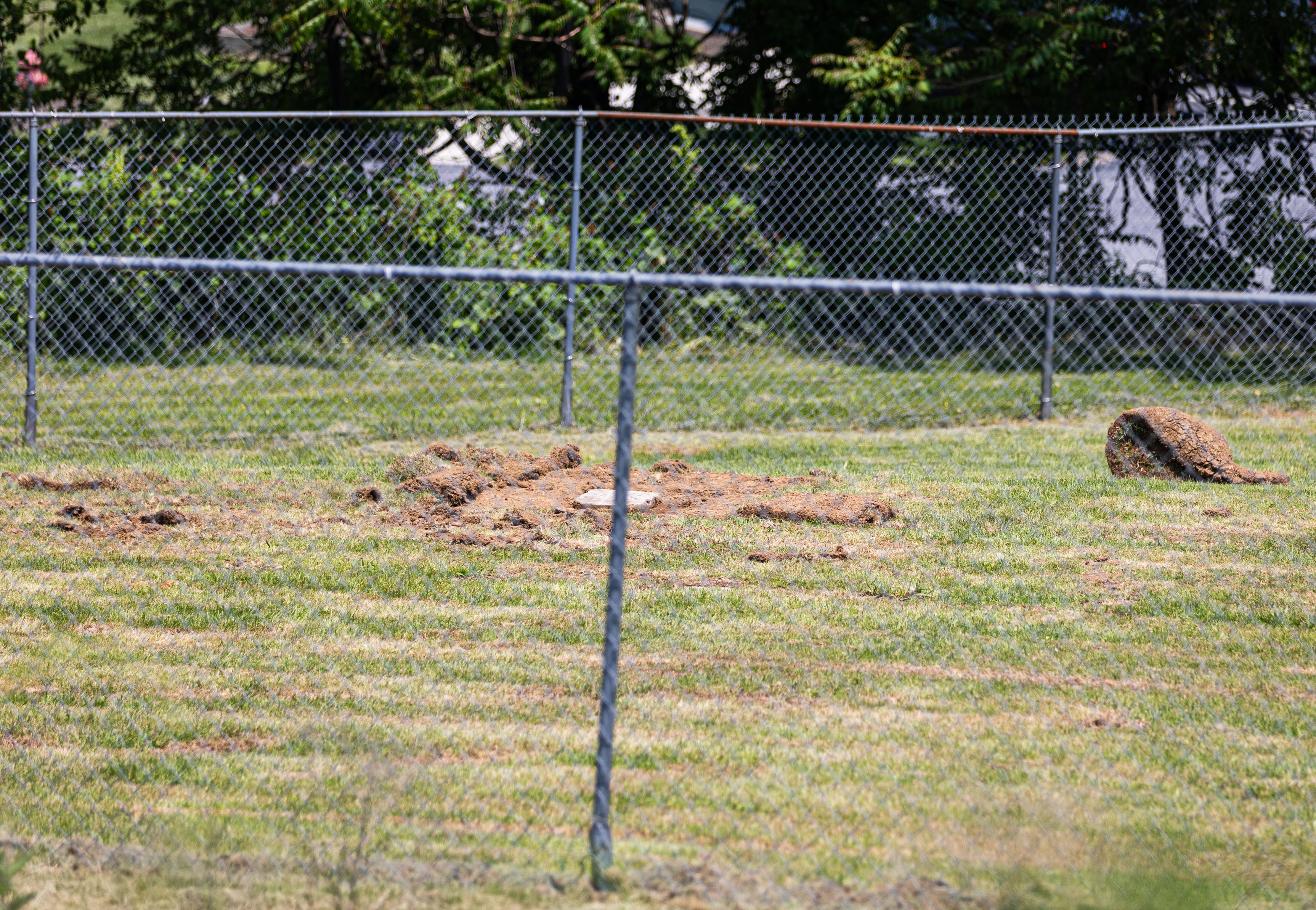 Potter's Field Cemetery exhumation - pennlive.com