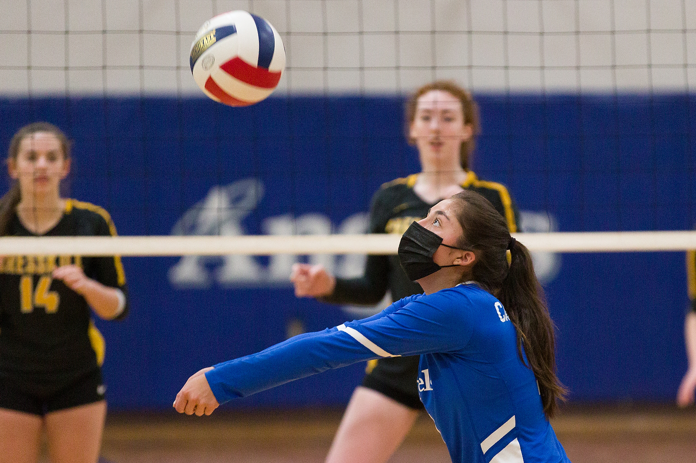 Girls Volleyball: Cresskill vs. Holy Angels - nj.com