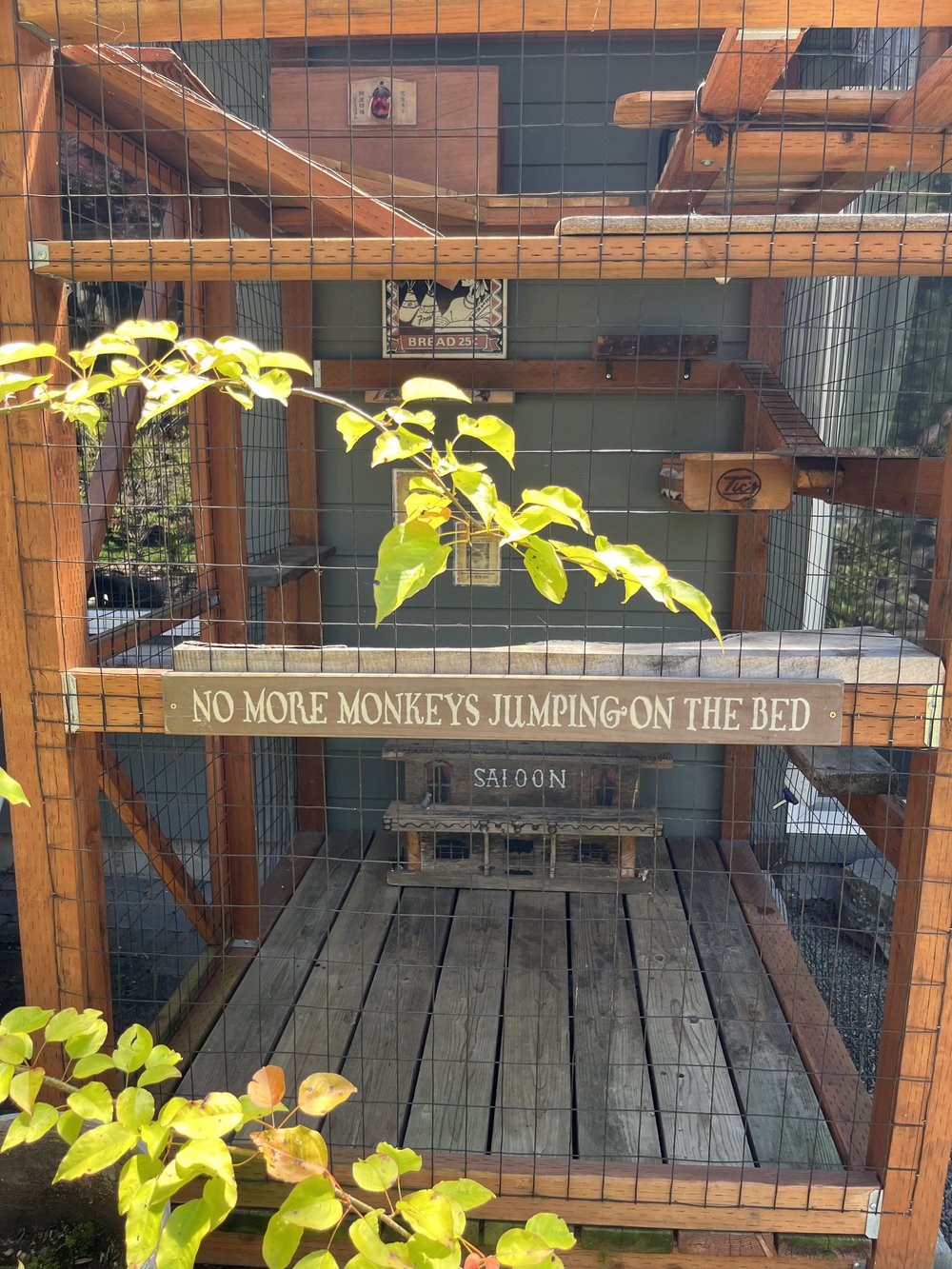 2022 Catio Tour - oregonlive.com