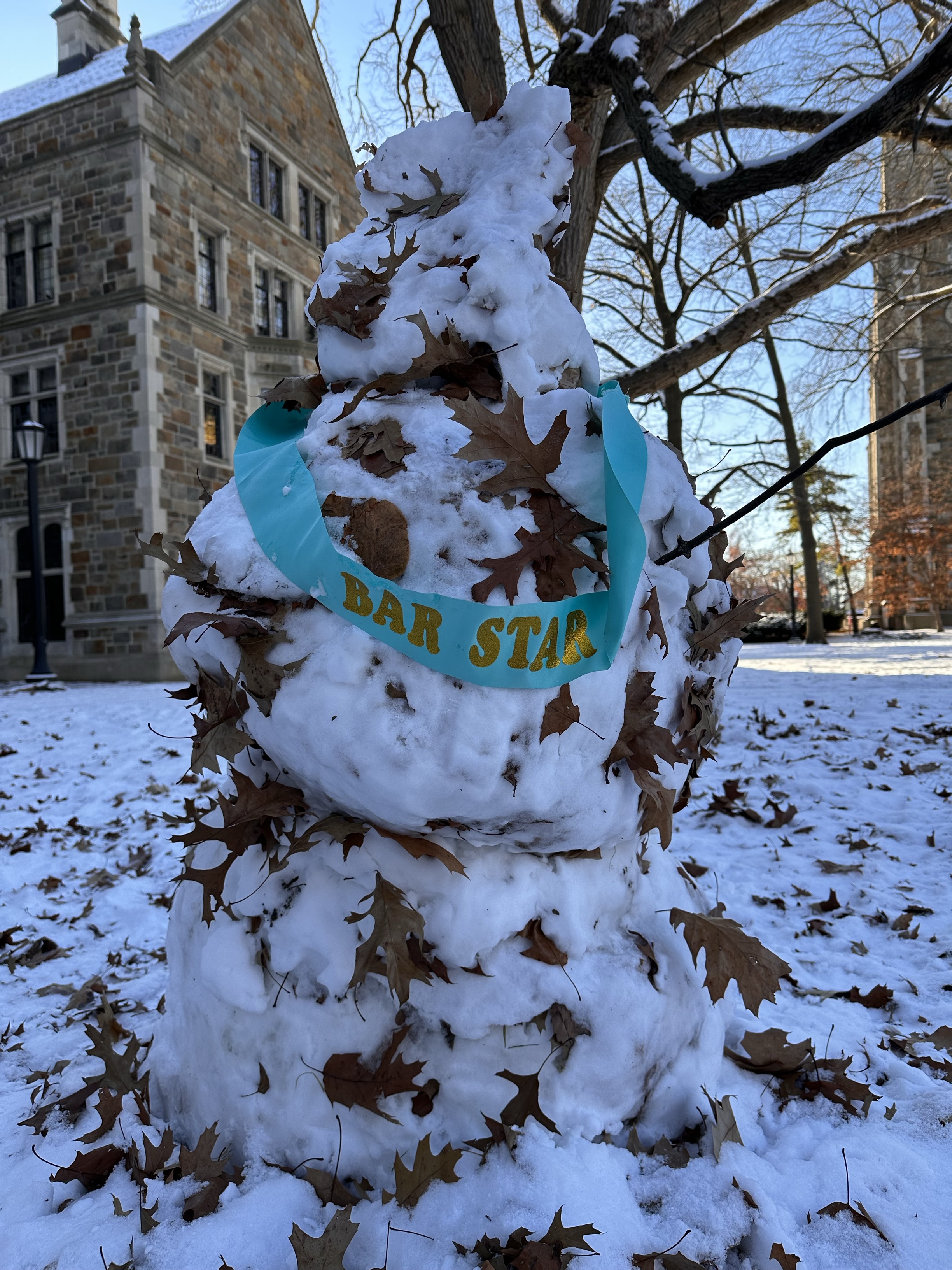 First snow of fall 2023 semester at University of Michigan - mlive.com