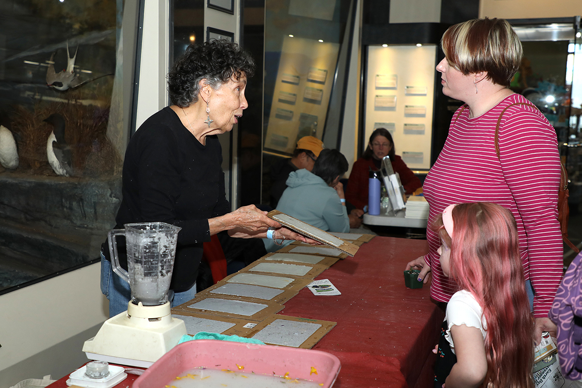 The Springfield Museums 2025 Earth Day Festival - masslive.com