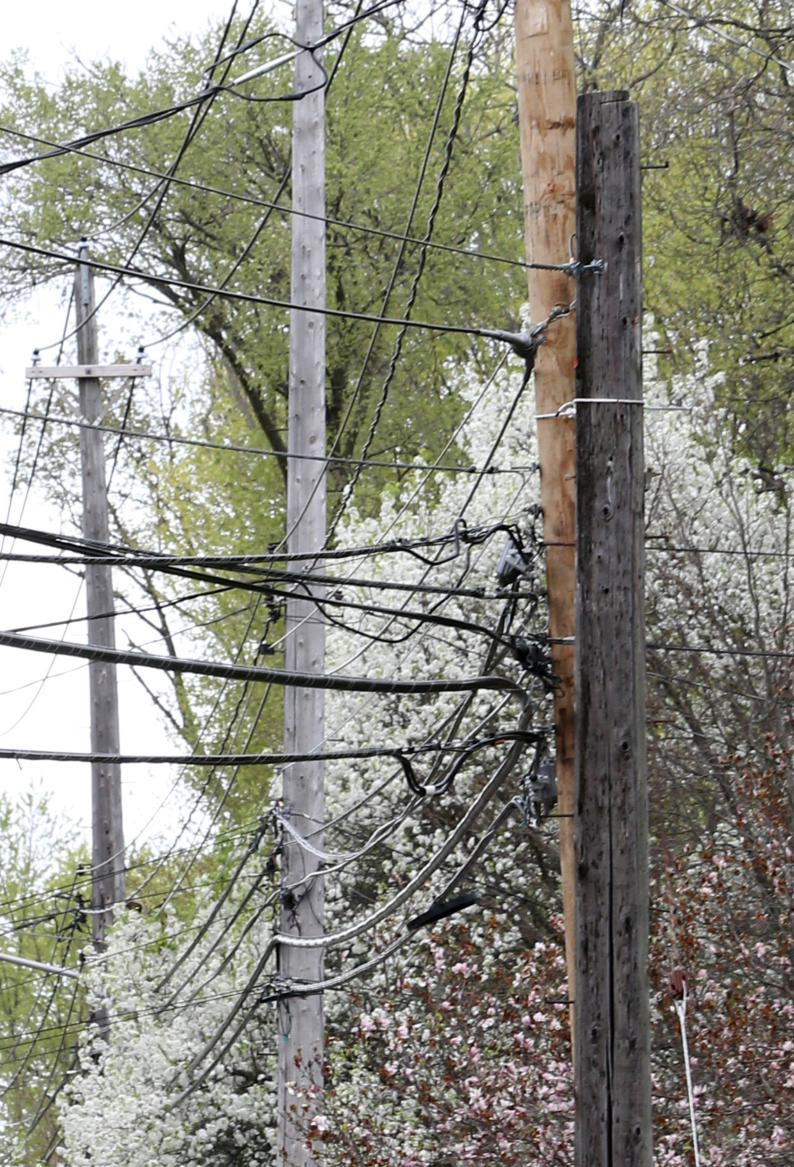 Utility pole oddities in Northeast Ohio - cleveland.com