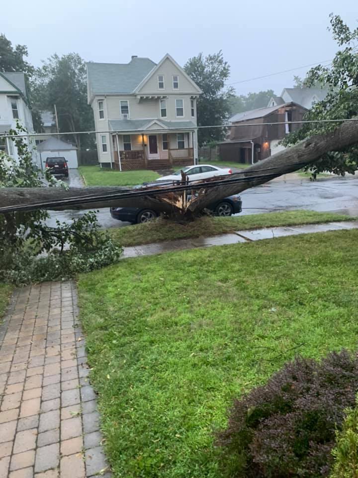 Storms on Thursday caused trees to fall, other damage - masslive.com
