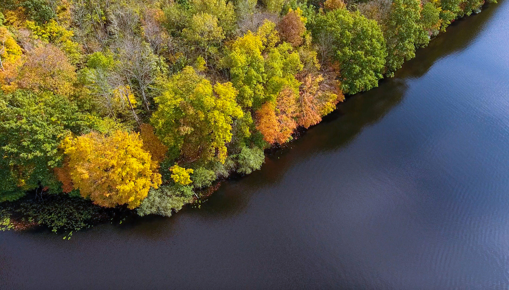 2020 Autumn in the Lehigh Valley - lehighvalleylive.com