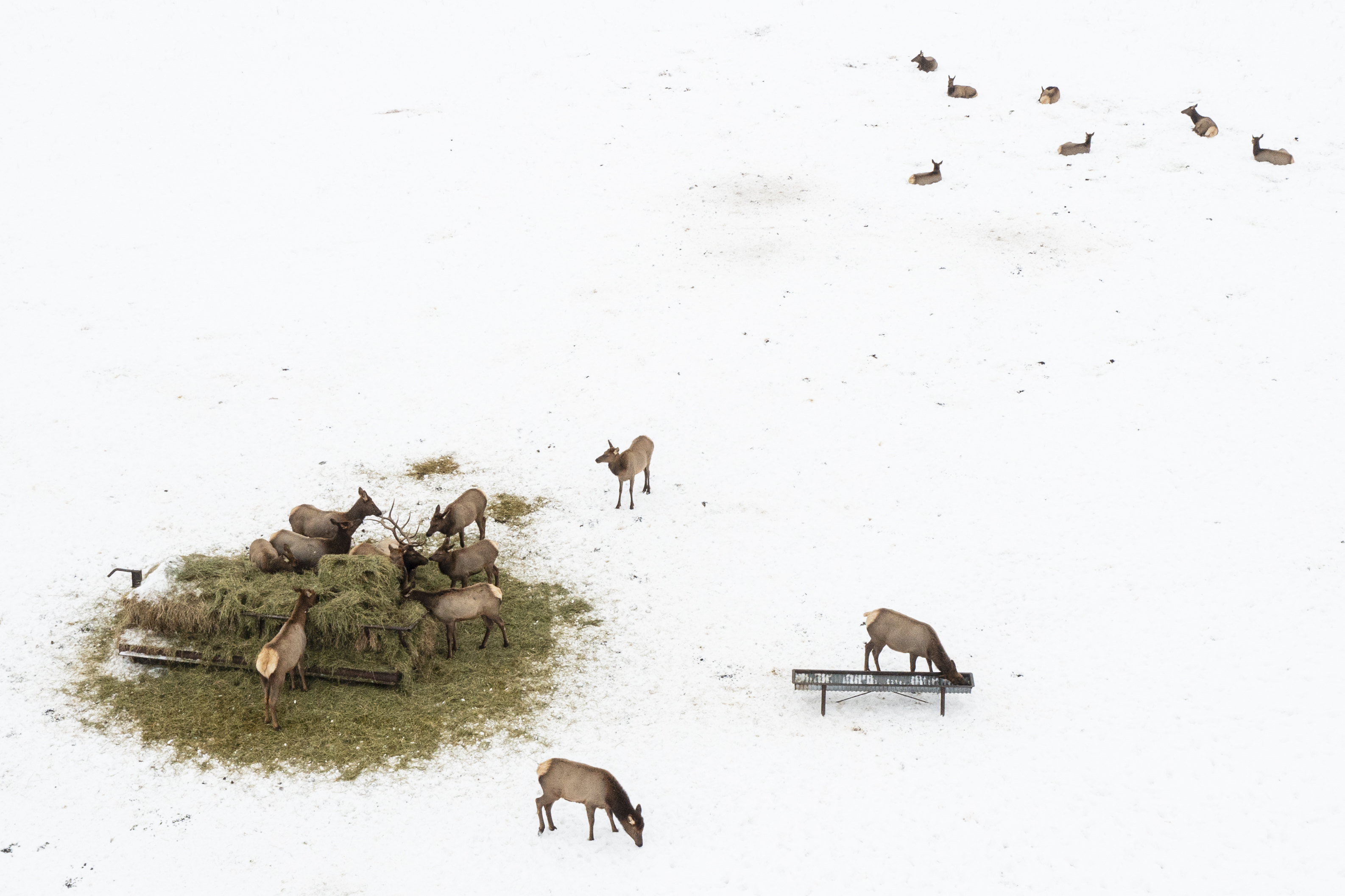 Elk View Park in Gaylord - mlive.com