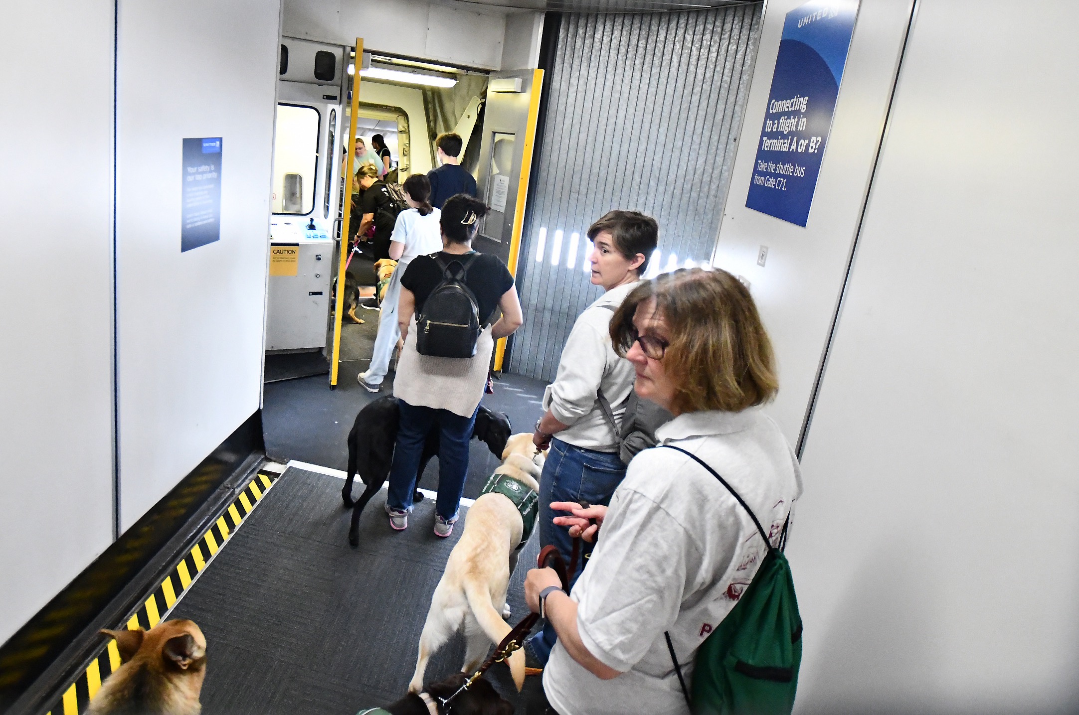 Port Authority hosts guide dog training at Newark Airport - silive.com