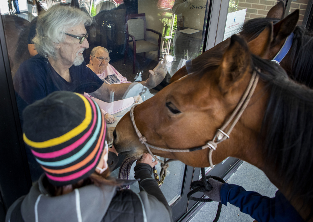 Horses and service dogs visit residents of The Middletown Home ...