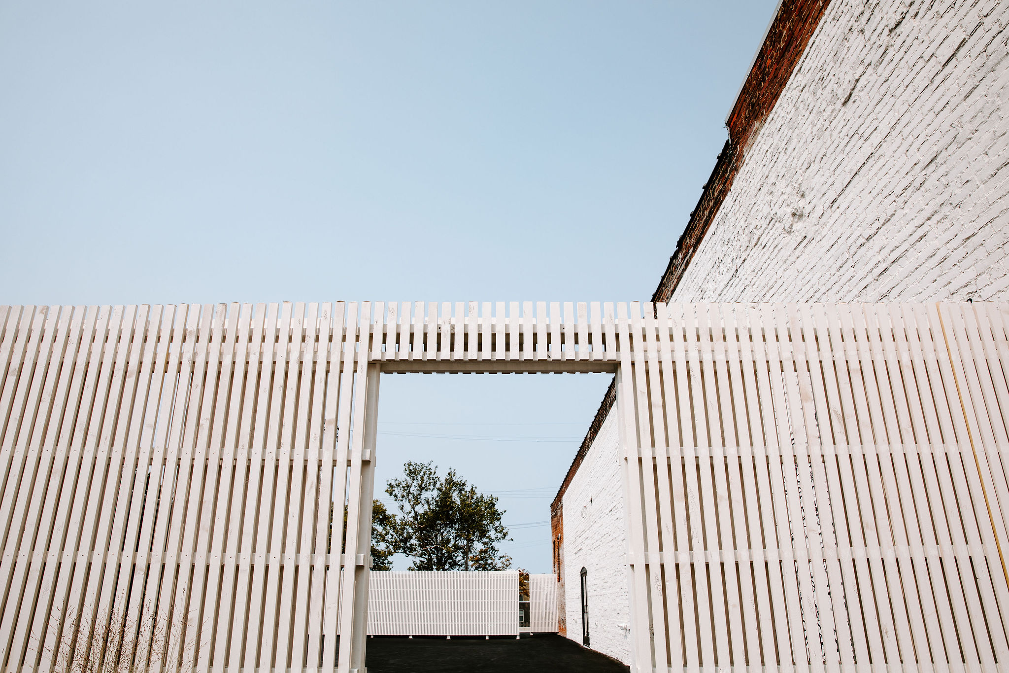 Gordon Green - cleveland.com