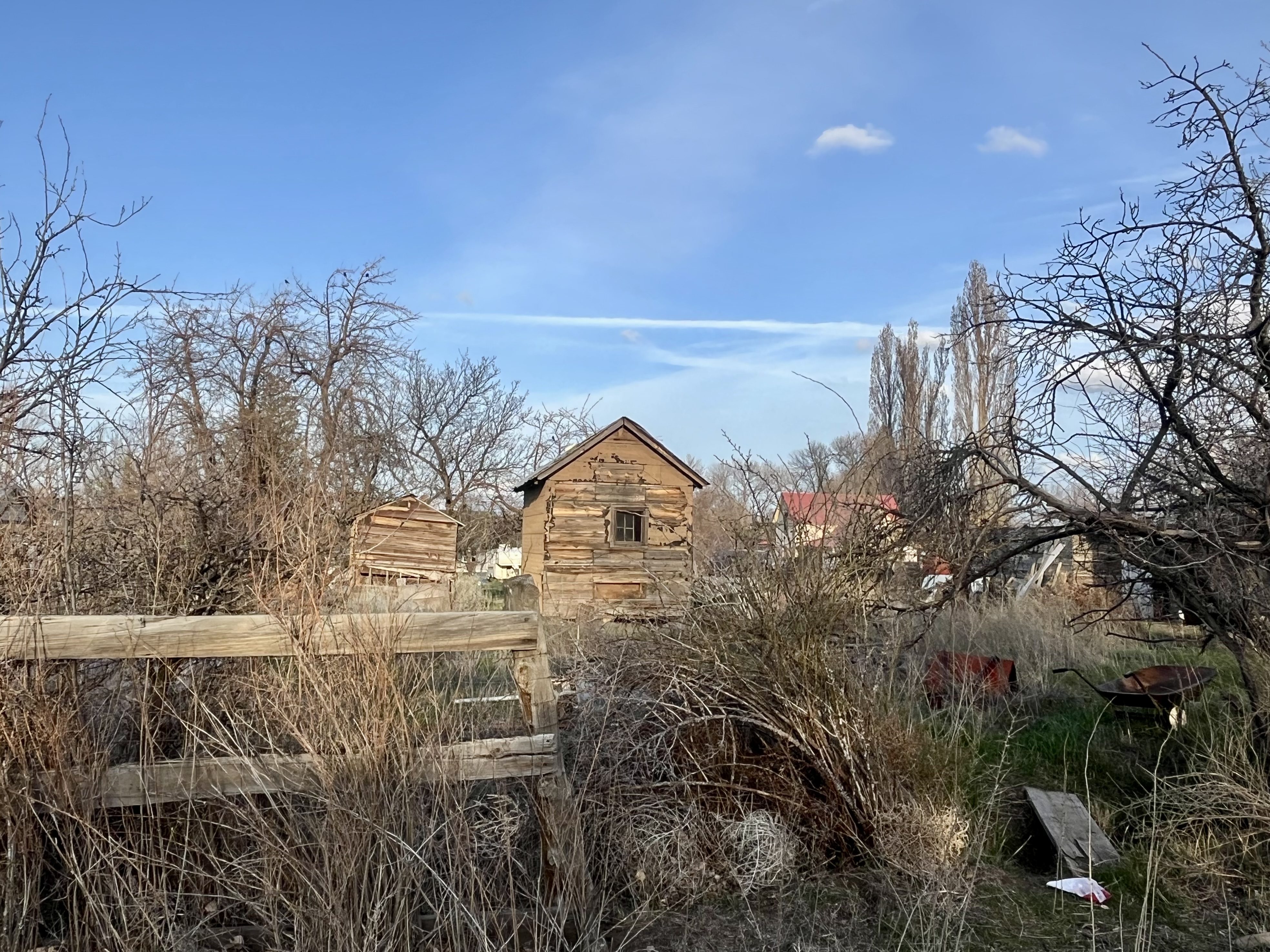 What's in Paisley? - oregonlive.com