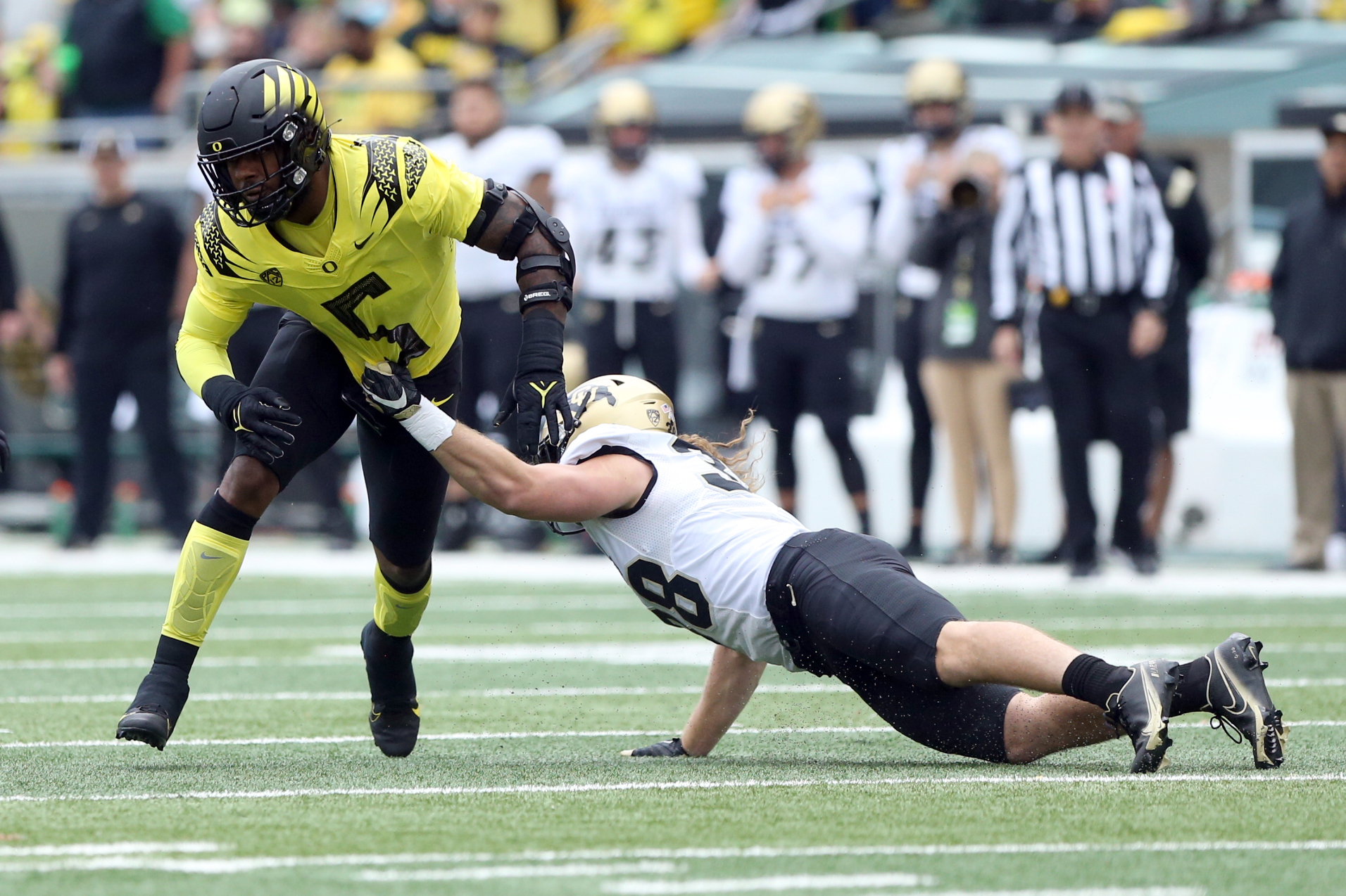 Oregon Ducks football vs. Colorado Buffaloes: Oct. 30, 2021 ...